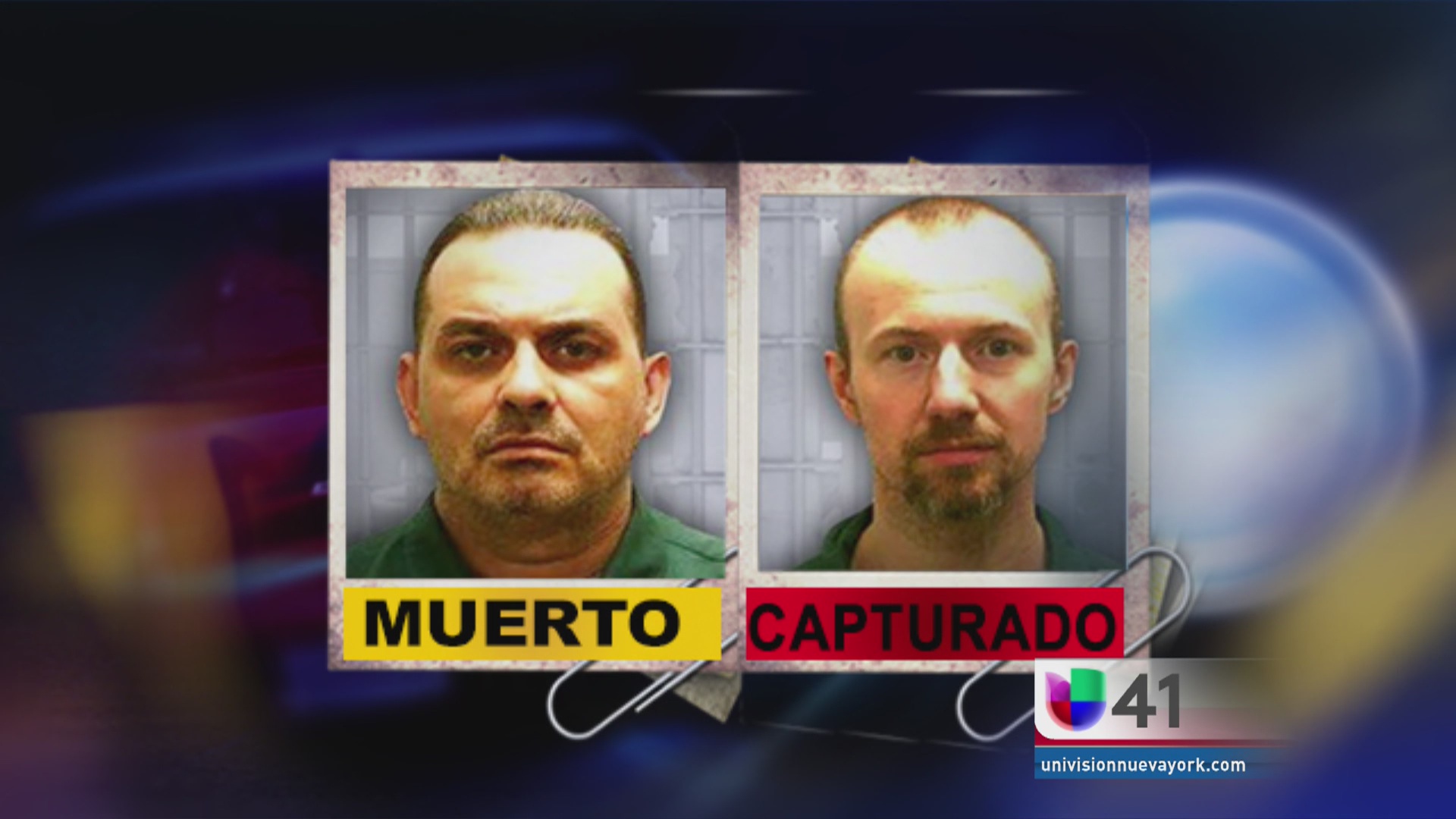 ¿Cómo fue la captura de David Sweat? | Video | Univision 41 Nueva York ...
