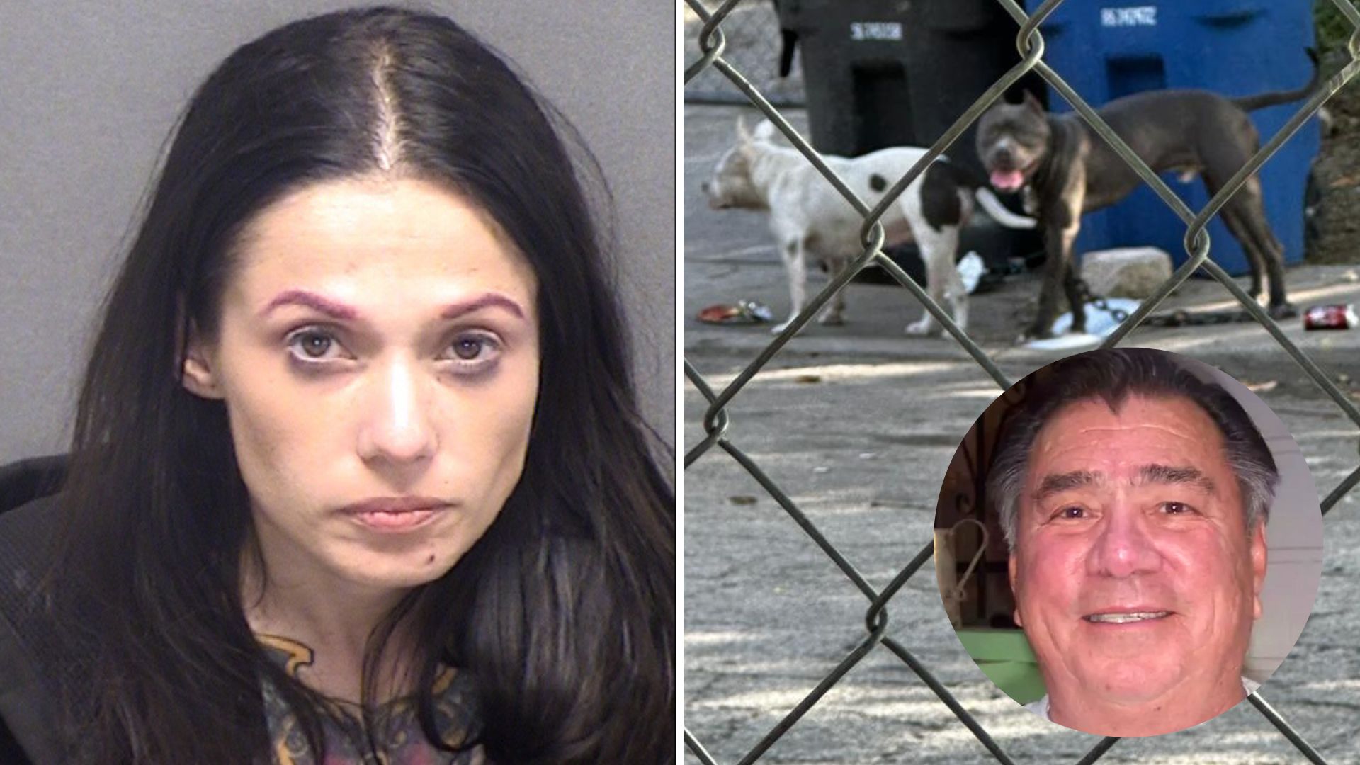 Abilene Schneider, dueña de los perros que mataron a Ramón Nájera, paga ...