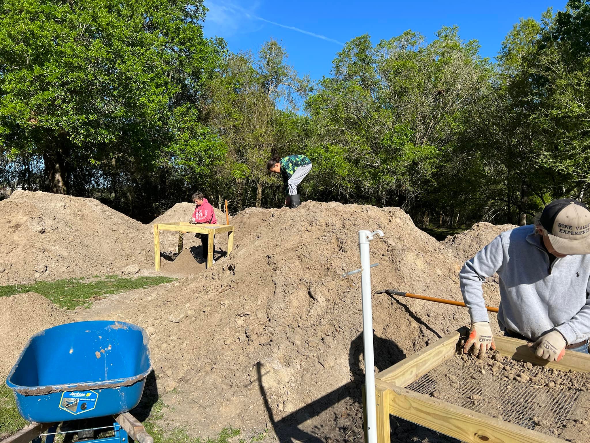 Bone Valley Experience en Florida te permite encontrar fósiles de ...