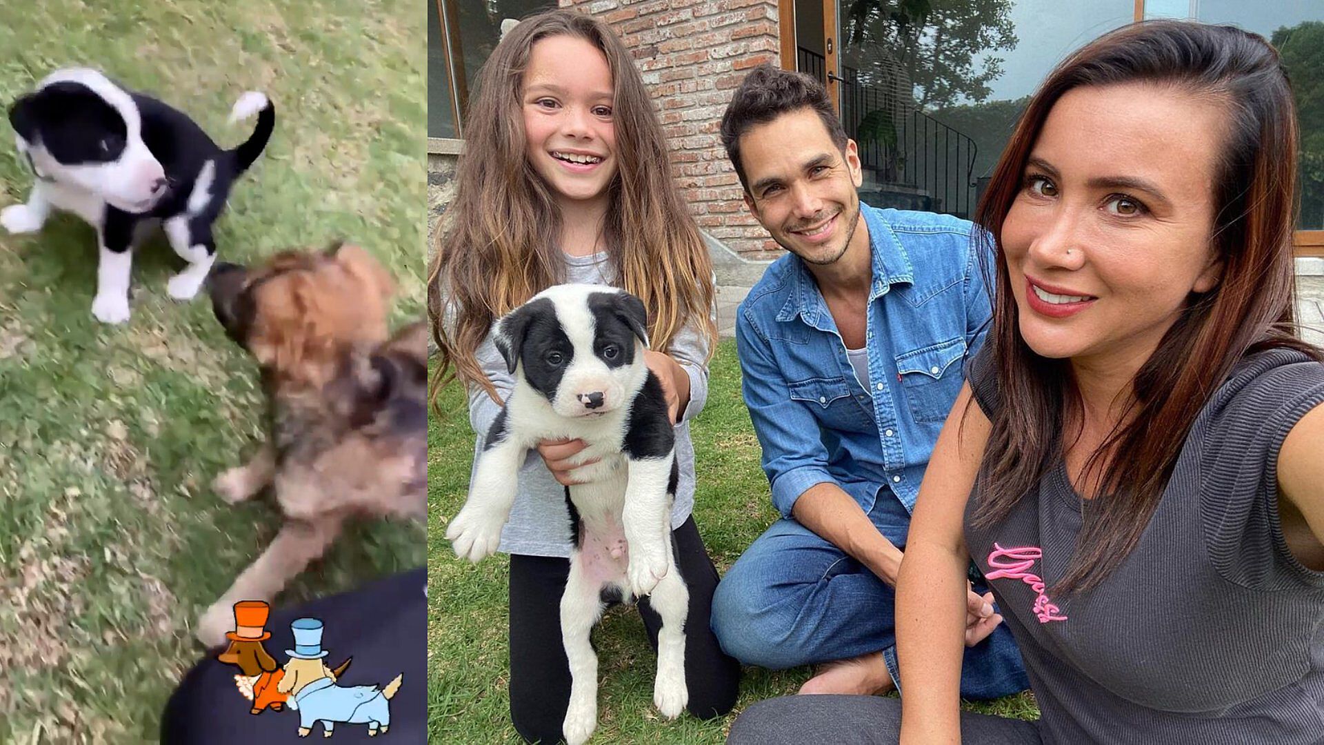 Mariazel presenta nuevos integrantes de su familia y recibe amor apache ...