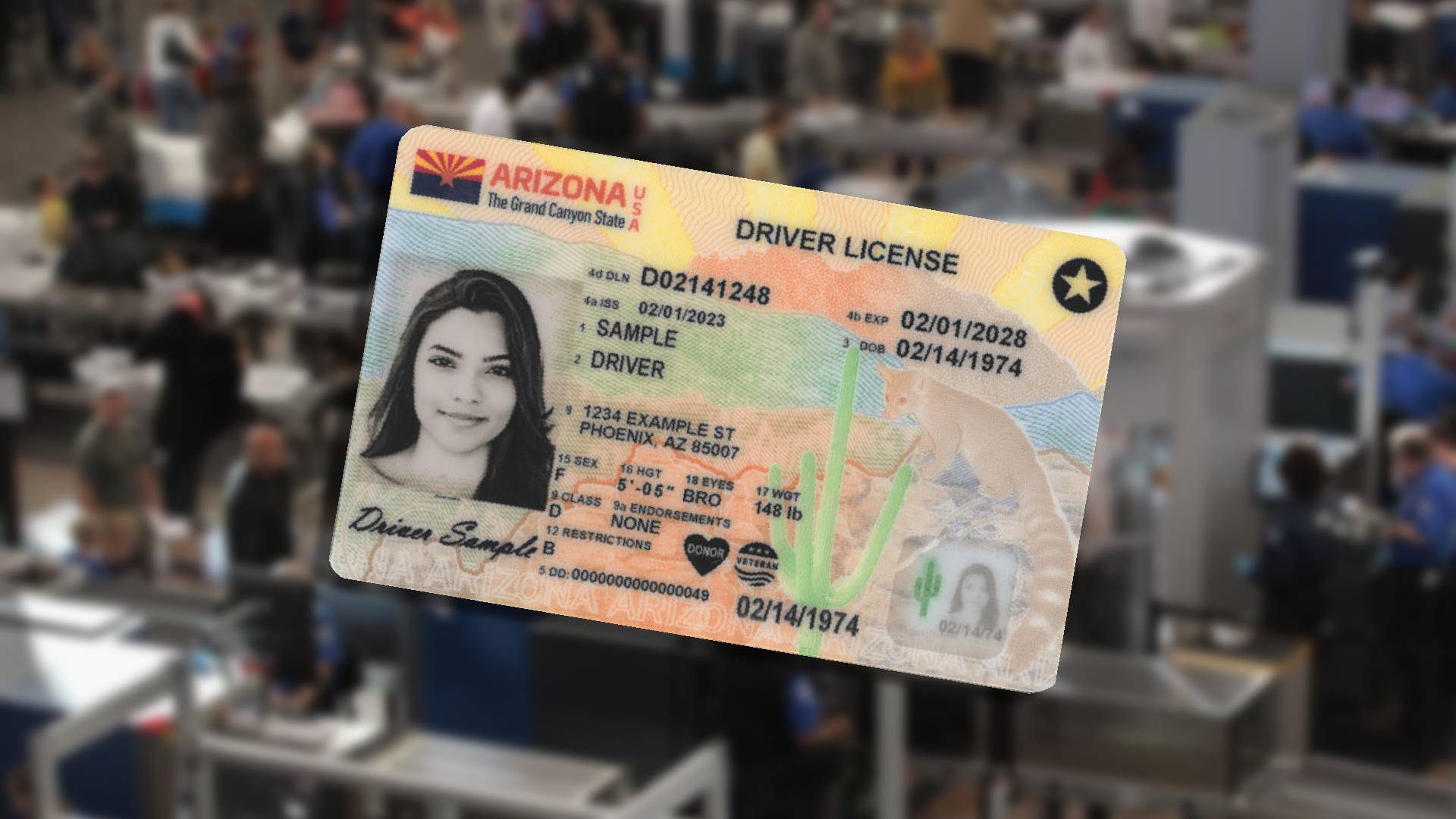 Real ID: ¿Qué documentos necesito para tramitarla en Arizona? Te ...