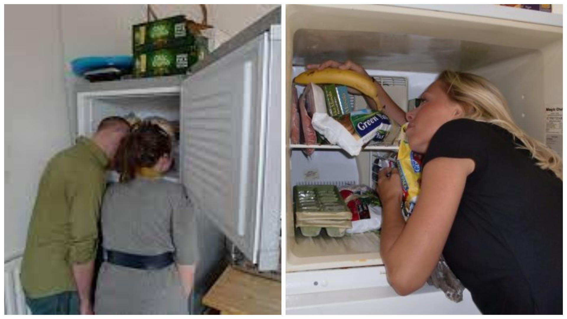 241543903: ¿por qué aparecen fotos de personas con la cabeza en el refrigerador ...