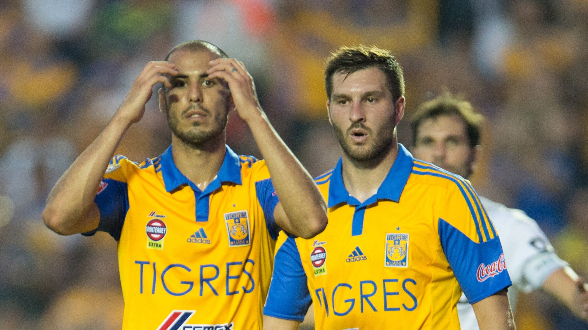 El anuncio de Tigres que pondrá felices a los aficionados 'felinos ...