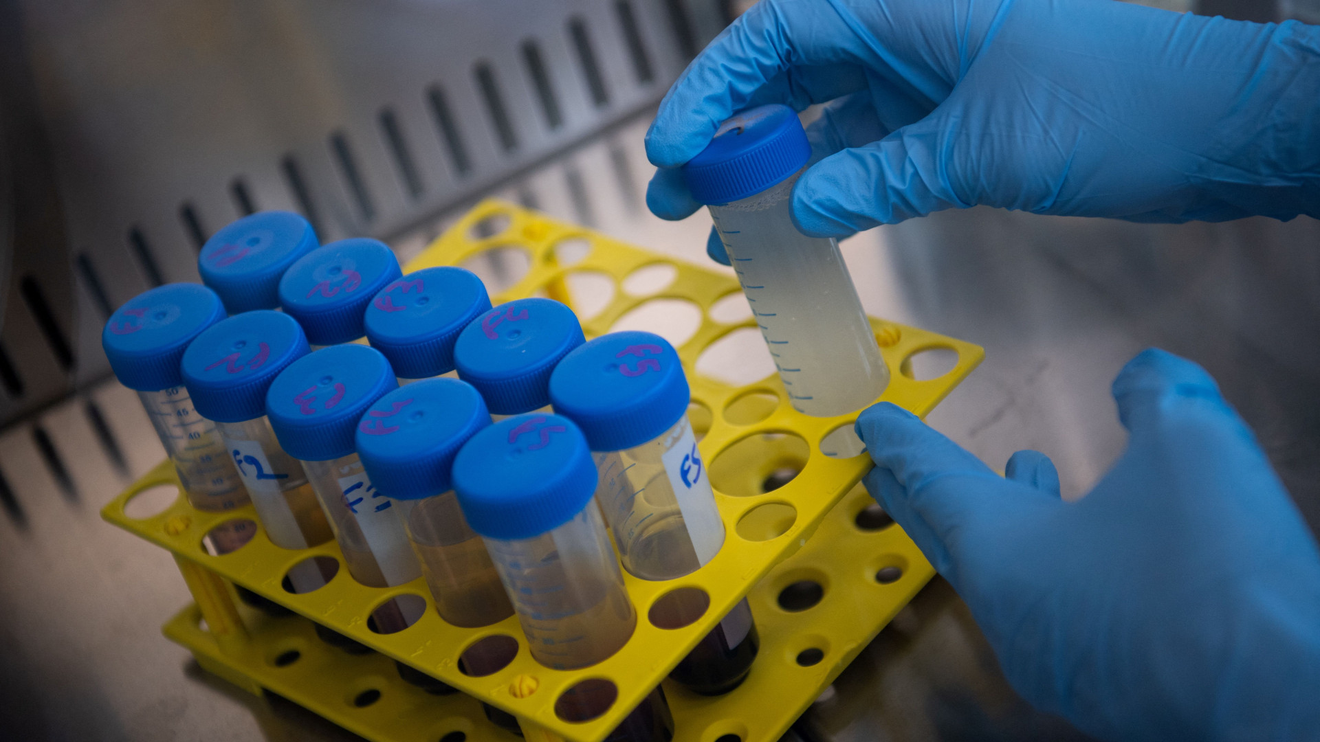 Te contamos lo que se conoce hasta el momento de la nueva variante ...