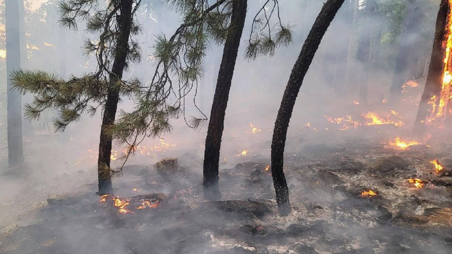 Diamond Fire mantiene las evacuaciones en el Bosque Nacional Tonto ...