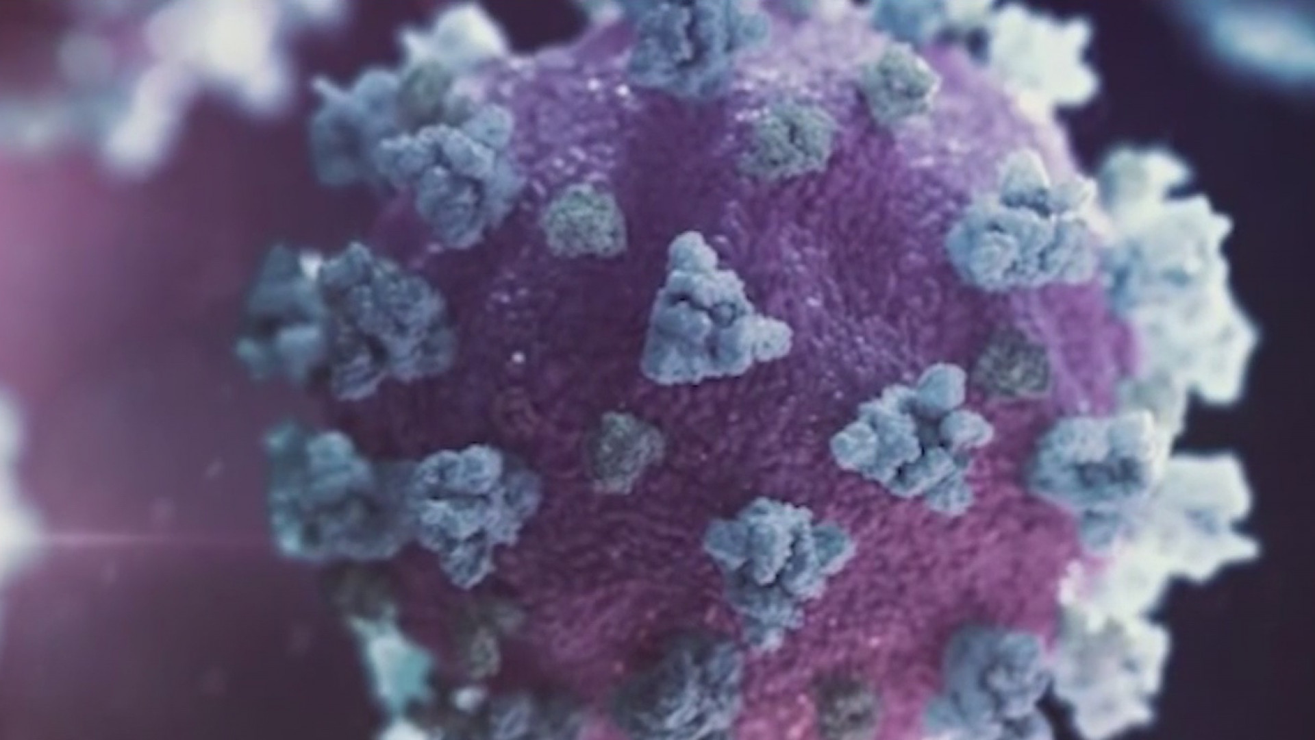 “El virus se multiplica mucho más, pero no es más dañino”, un médico ...