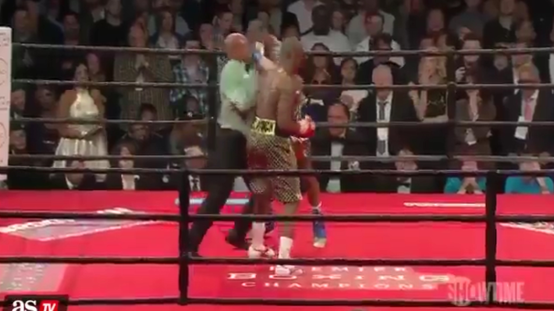 Brutal puñetazo que casi noquea a un referee de box por accidente ...