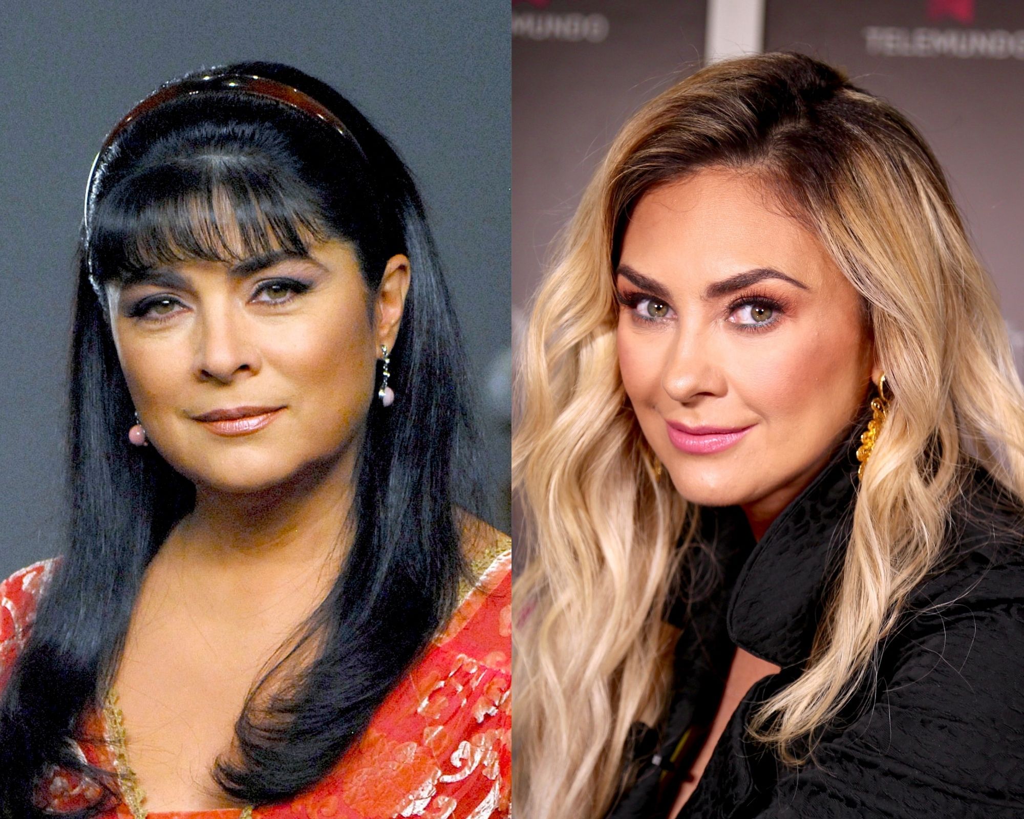 ¿Qué opina Victoria Ruffo de Aracely Arámbula como la nueva 'Madrastra ...