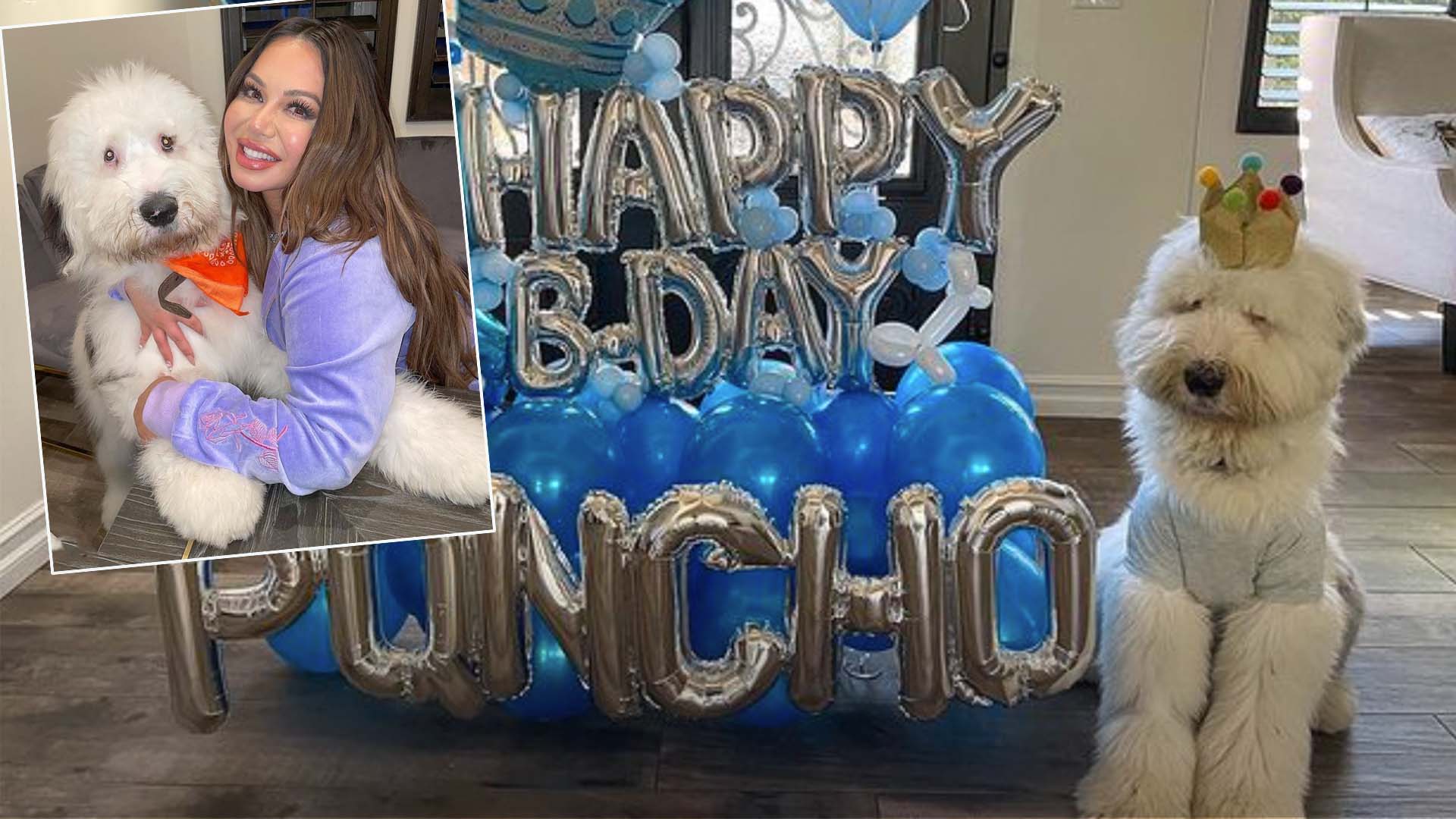 Con todo y mariachis, Chiquis celebra el cumpleaños de su perro ´Pancho ...