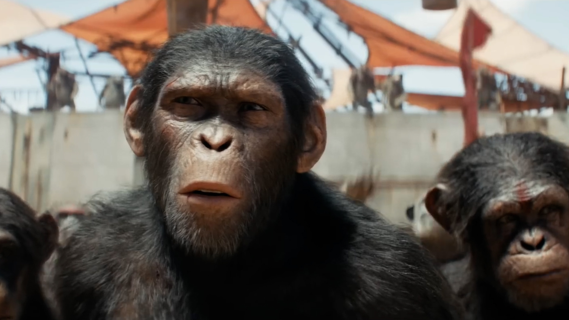 Platicamos con Wes Ball, el director de Kingdom of the Planet of the ...