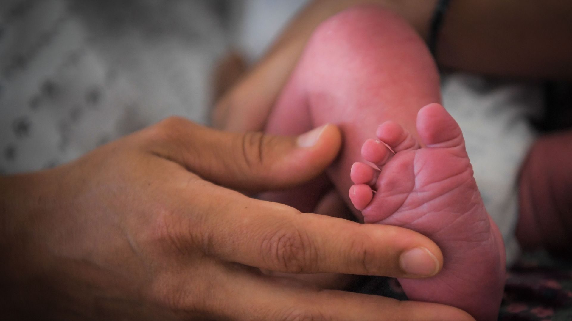Reportan el primer caso en el mundo de un bebe nacido con anticuerpos ...