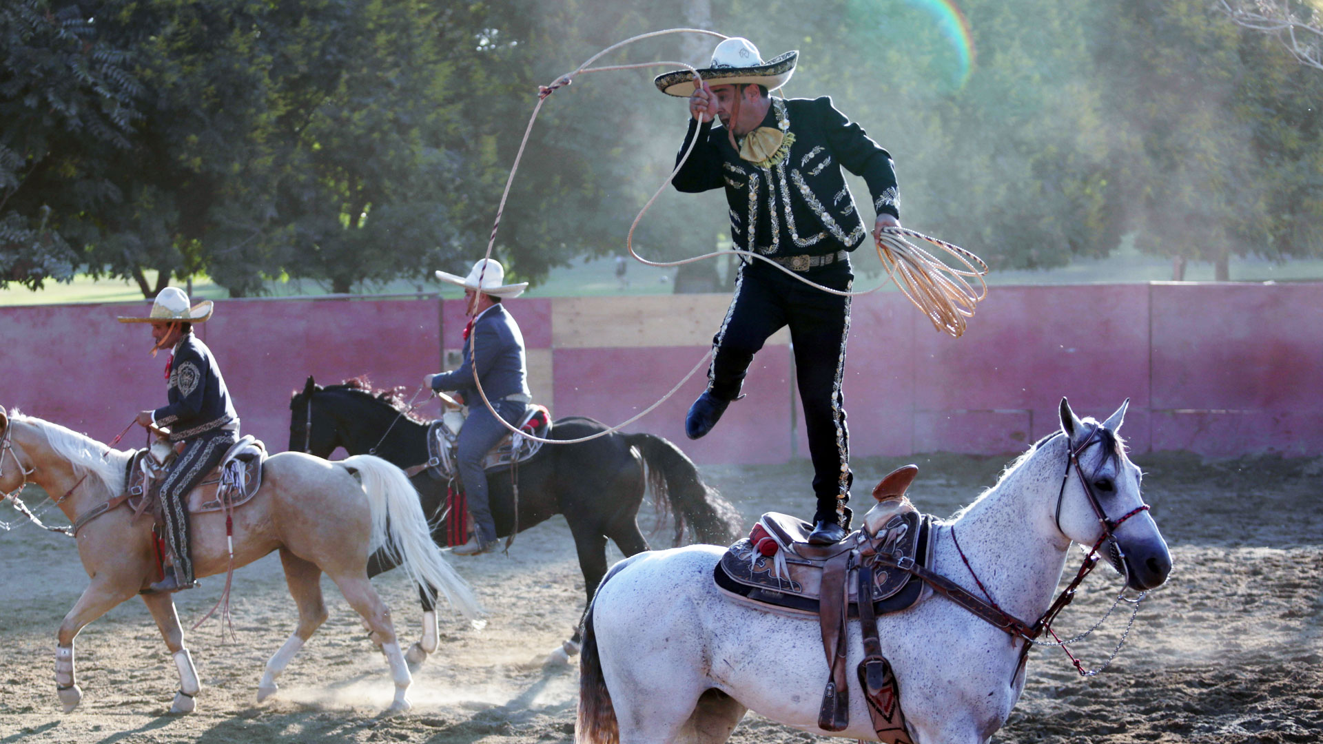 No te pierdas todo el drama y la aventura de los Cowboys por Galavision ...