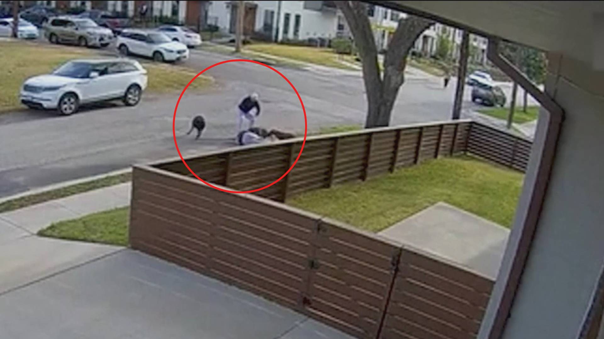 Recomendaciones sobre cómo reaccionar ante el ataque de un perro ...