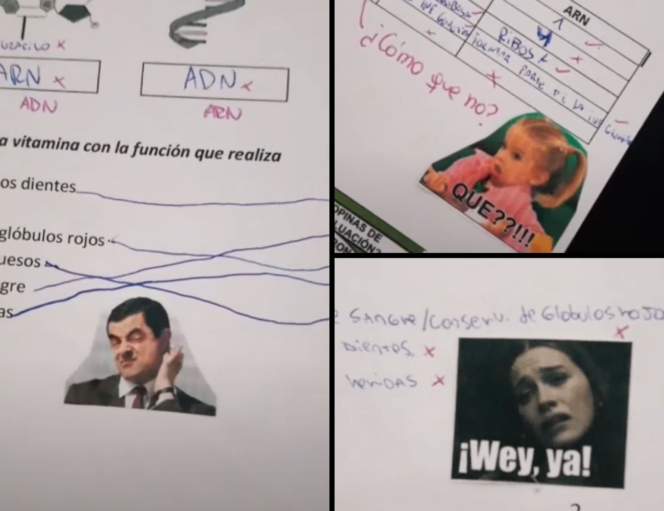 Maestra califica examen con memes y se vuelve viral | Shows Viral | Telehit
