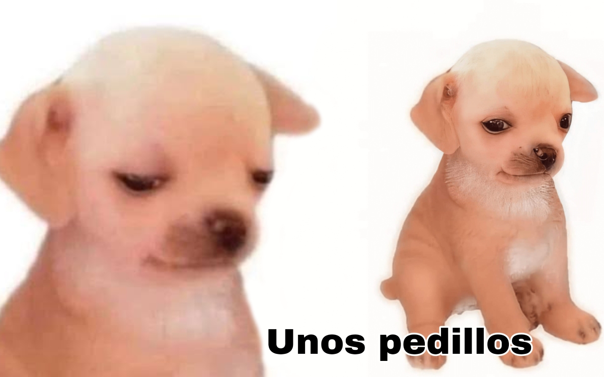 Unos pedillos: El meme del perrito para responder preguntas incómodas ...