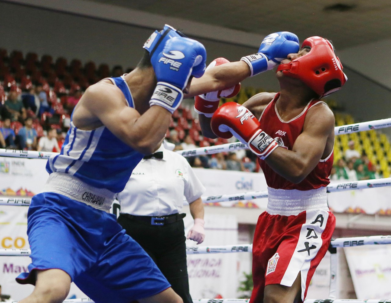 México ya tiene a sus representantes para el preolímpico de boxeo ...
