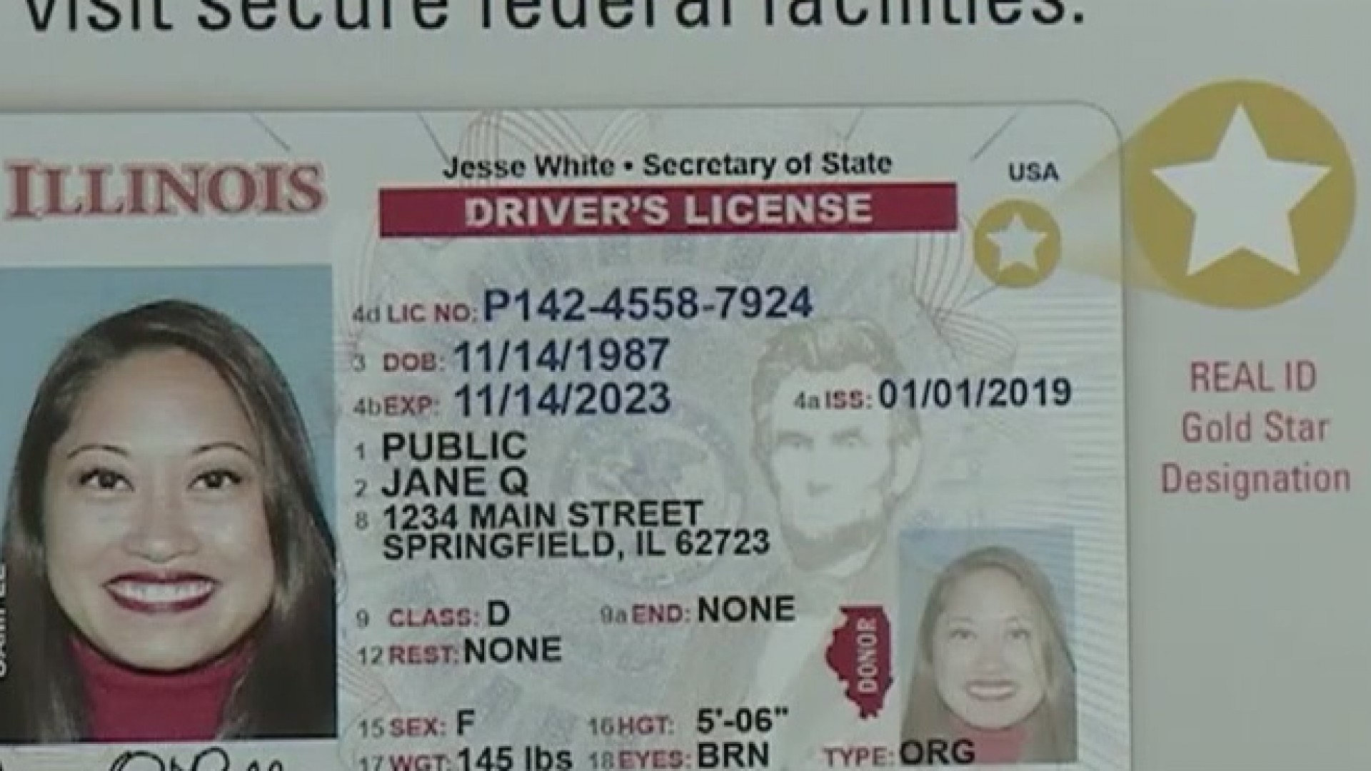 Real ID y licencia para indocumentados TVDL en Illinois: así puedes ...