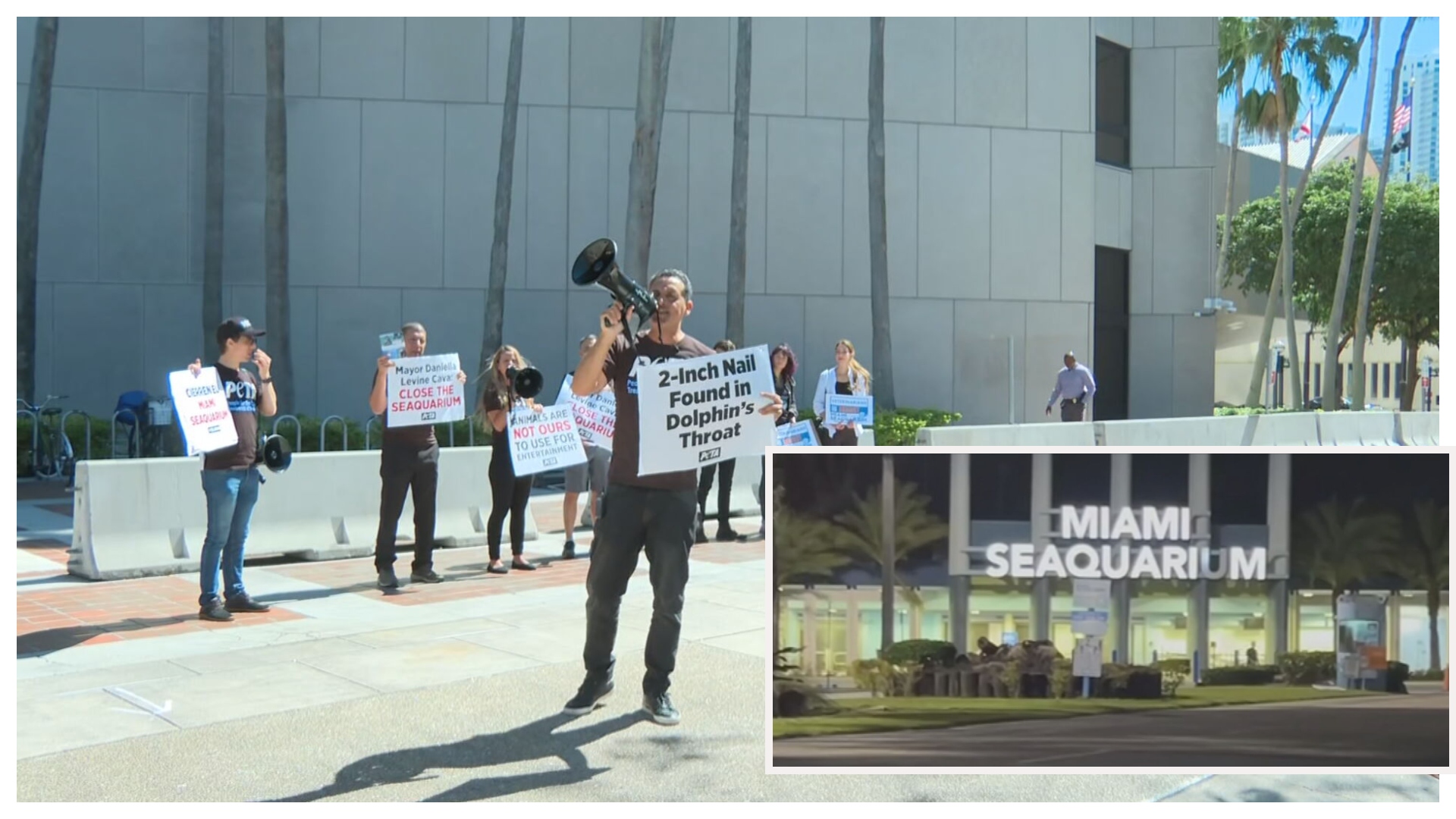 Activistas de PETA exigen el cierre del Miami Seaquarium | Video ...