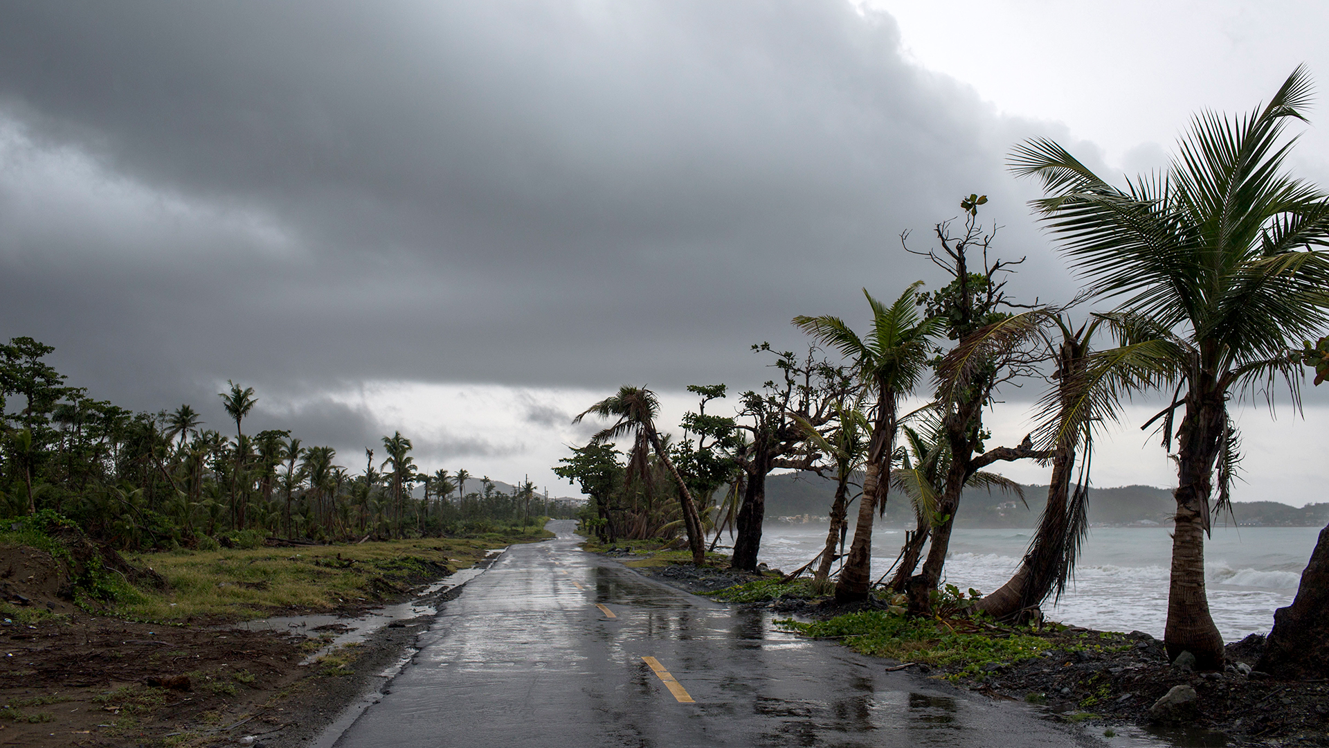 Lluvia y fuertes vientos: así Beryl afecta Puerto Rico, isla que no se ...