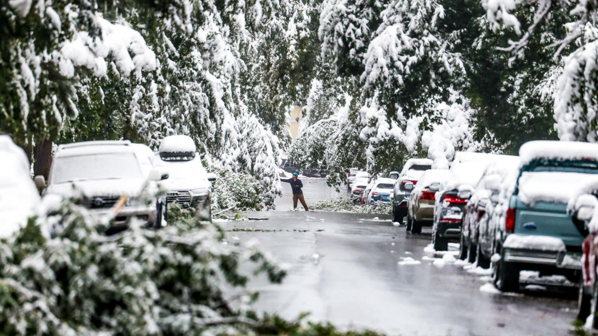El Servicio Meteorológico Nacional anuncia la llegada de la primera ...