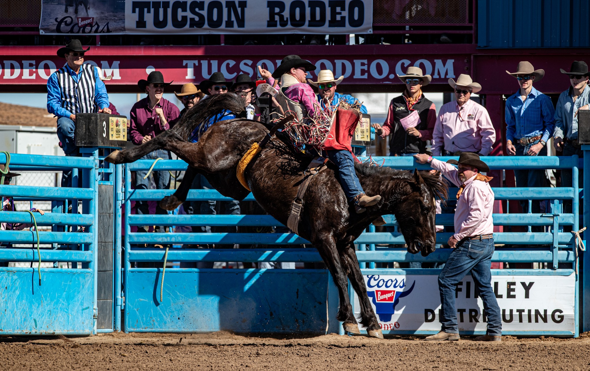 Comenzó el Rodeo de Tucson: La Fiesta de los Vaqueros. Esto debes saber ...