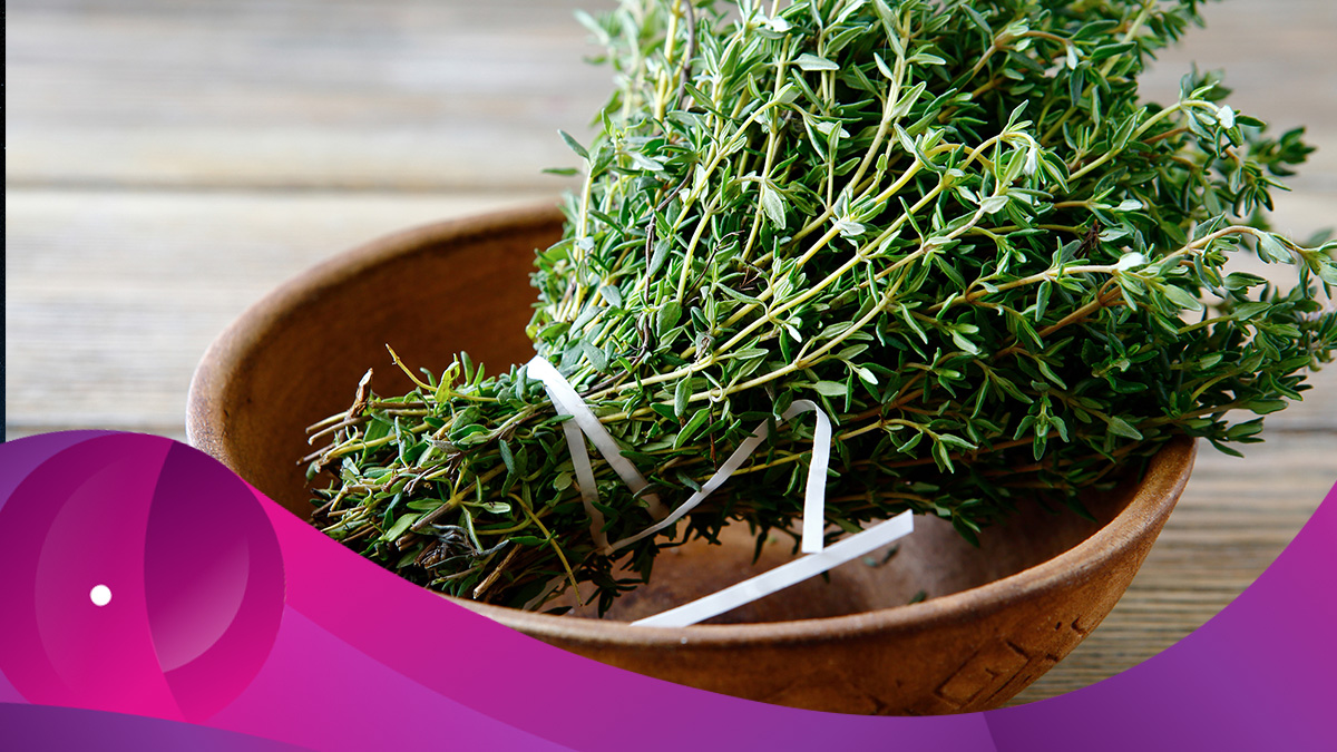 Tomillo: usos y propiedades esotéricas | Horóscopos | Univision