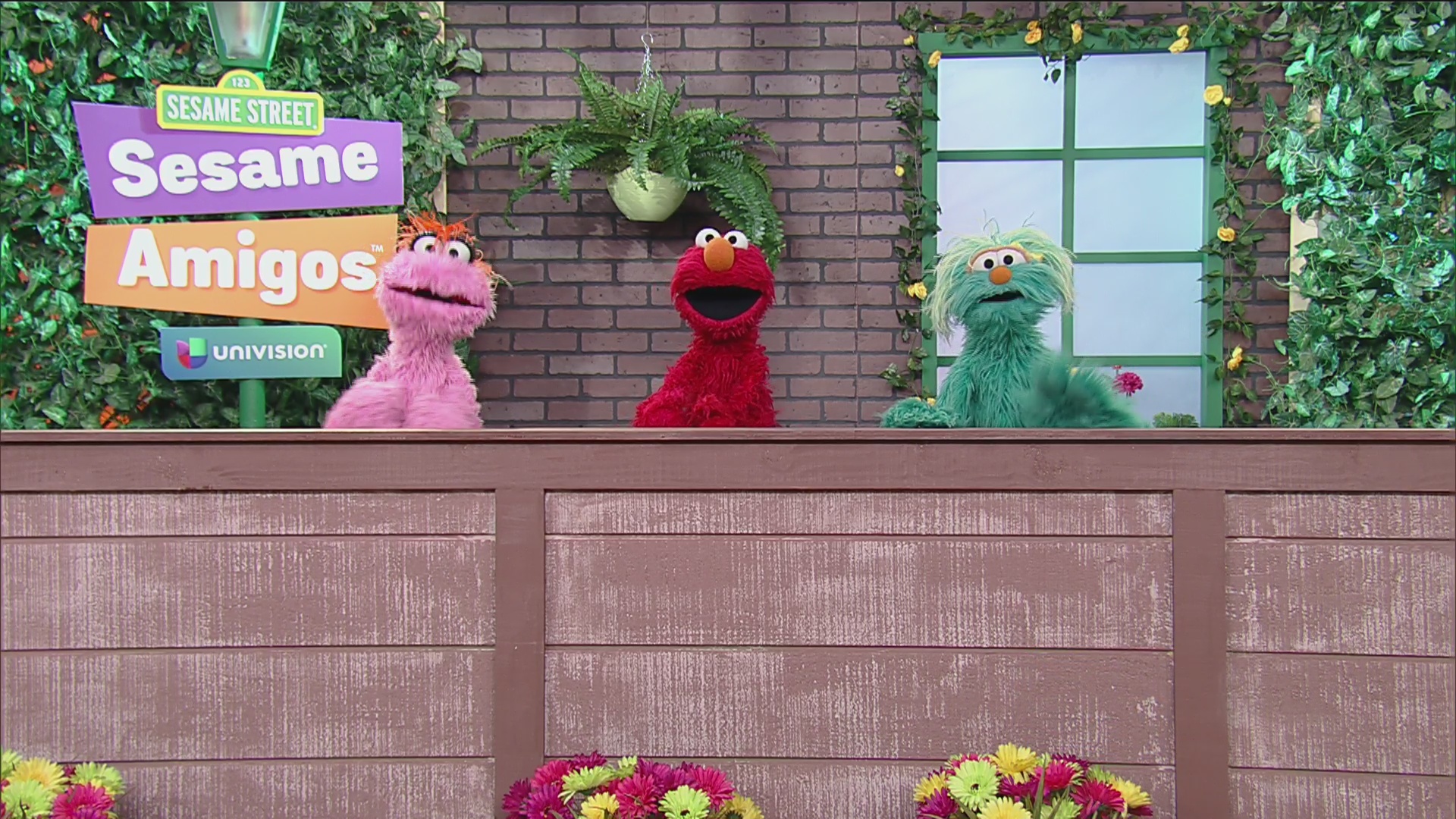 ¡Despierta feliz con los personajes de Sesame Amigos! | Shows Despierta ...