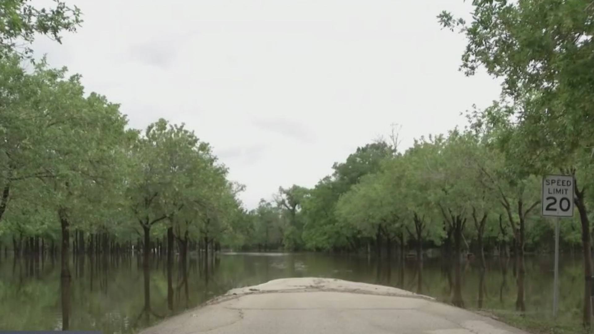 Jueza del condado de Harris sobre negativa a entrega recursos para ...