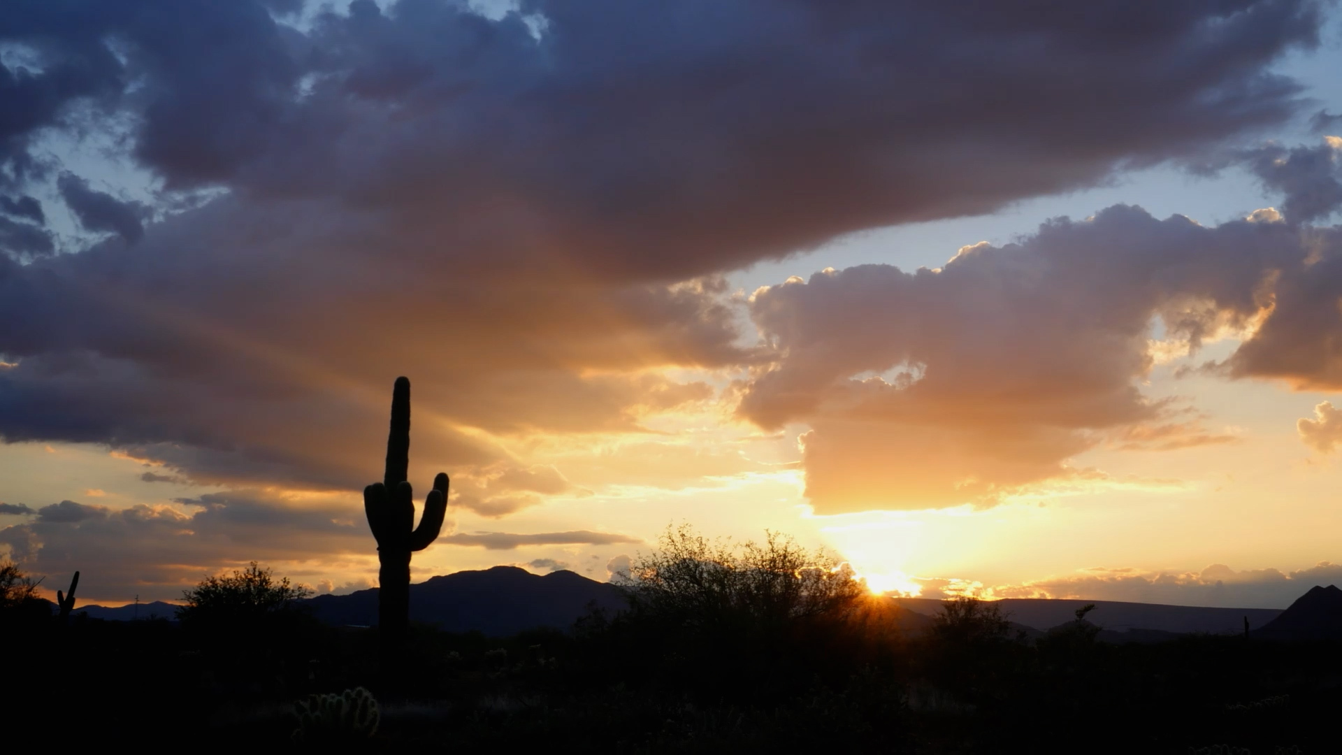 Viernes y fin de semana de calor intenso en Arizona: toma precauciones ...