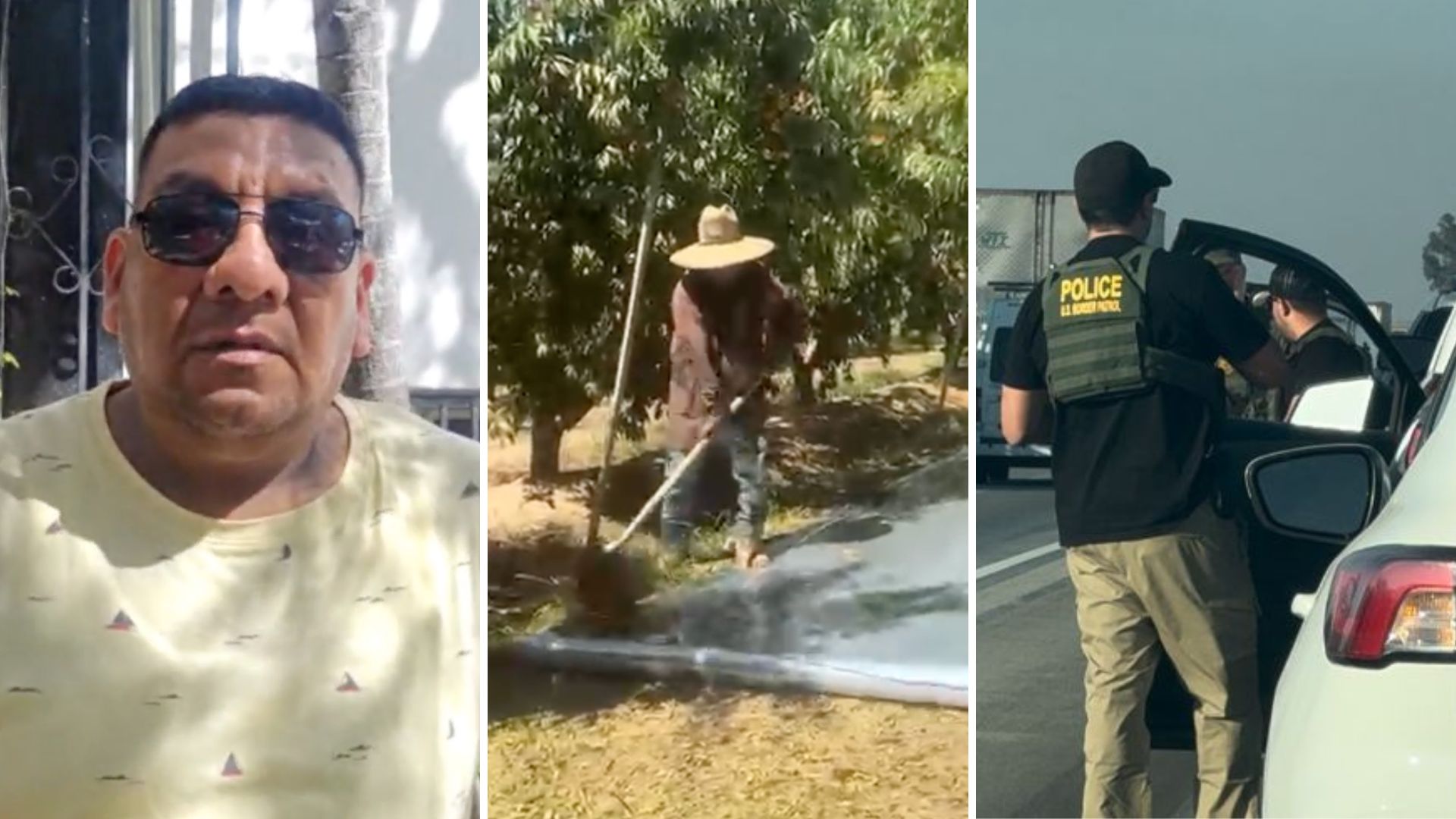ICE en Selma, California: Trabajador agrícola narra cómo fue detenido y ...