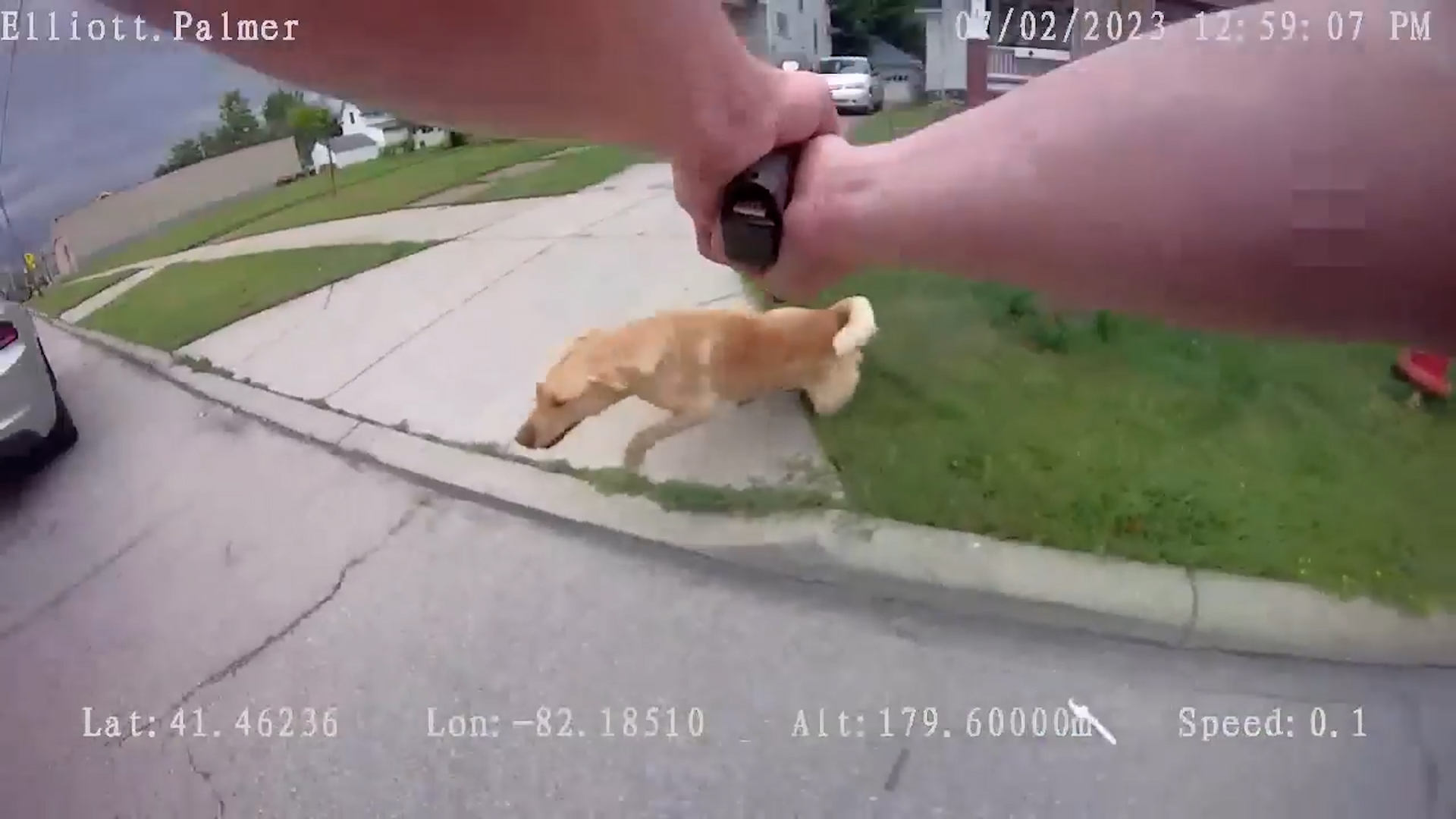 Un policía mata al perro de una familia que indignada pide su ...