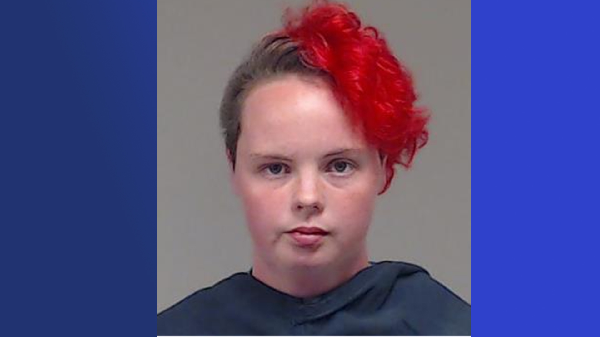 Arrestan a Rachel Ann Sword por matar a 12 caballos y 24 perros en ...