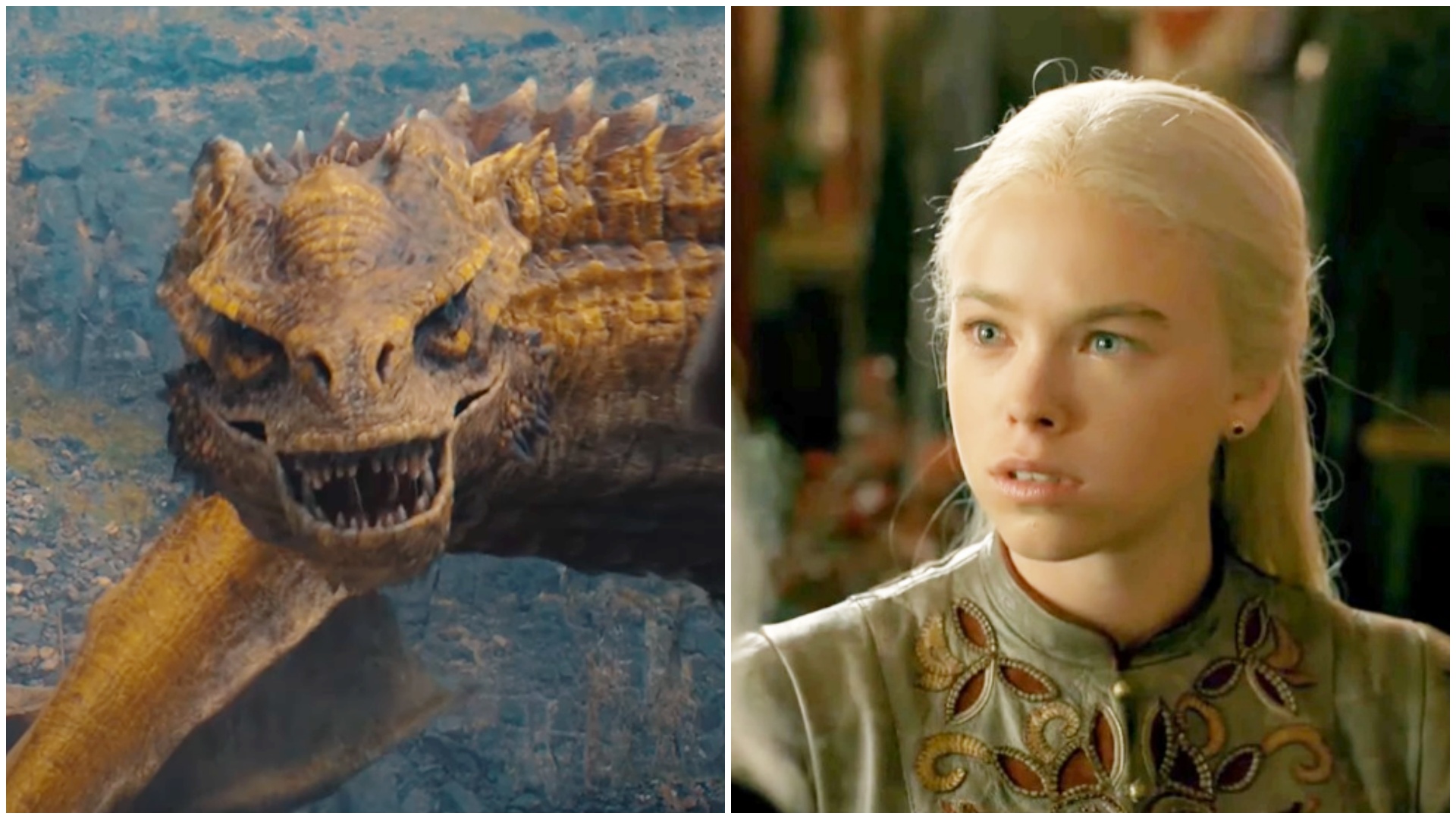 Avistamientos De Dragones Reales Dragones Captados En Cámara En La