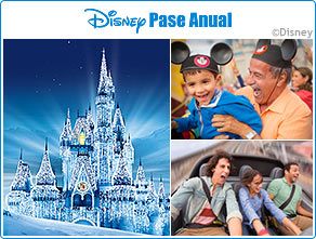 Concurso Disney Pase Anual | Univision 23 Miami WLTV | Univision