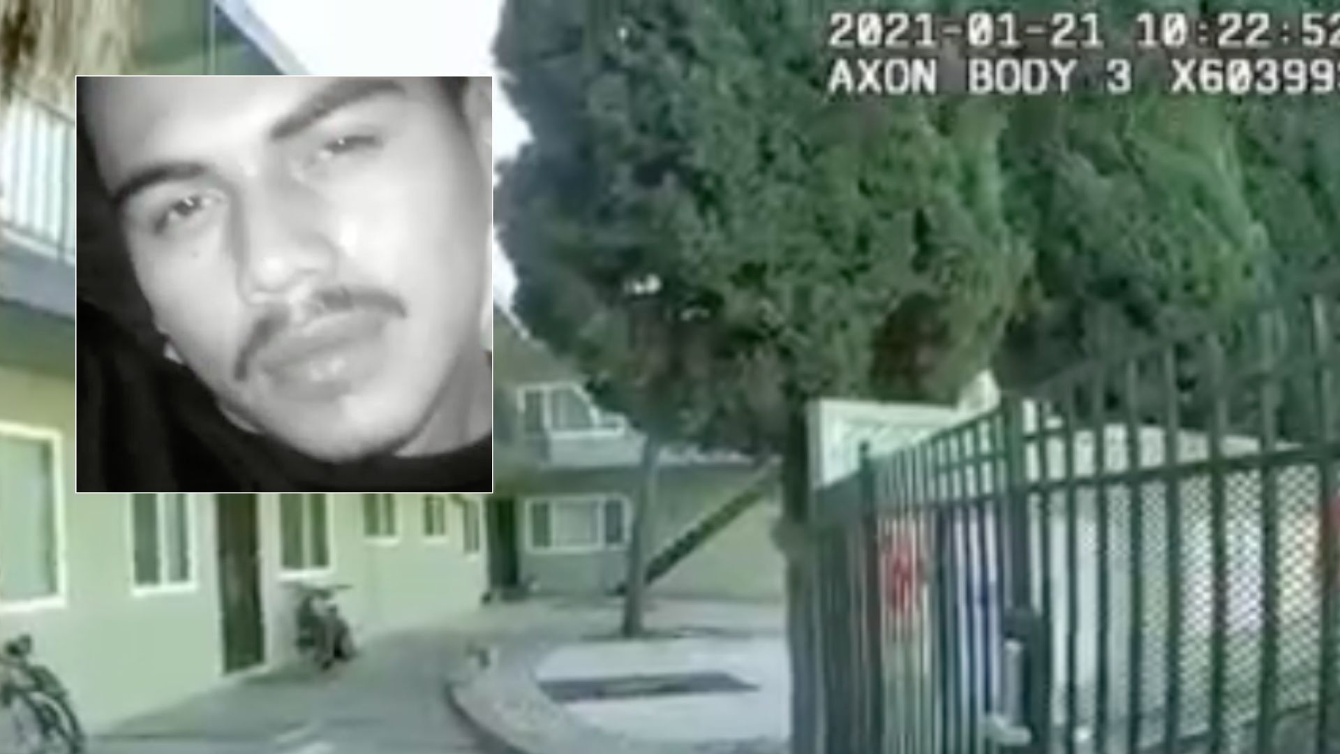 Ataque de un perro policía a David Tovar Jr. es calificado como ...