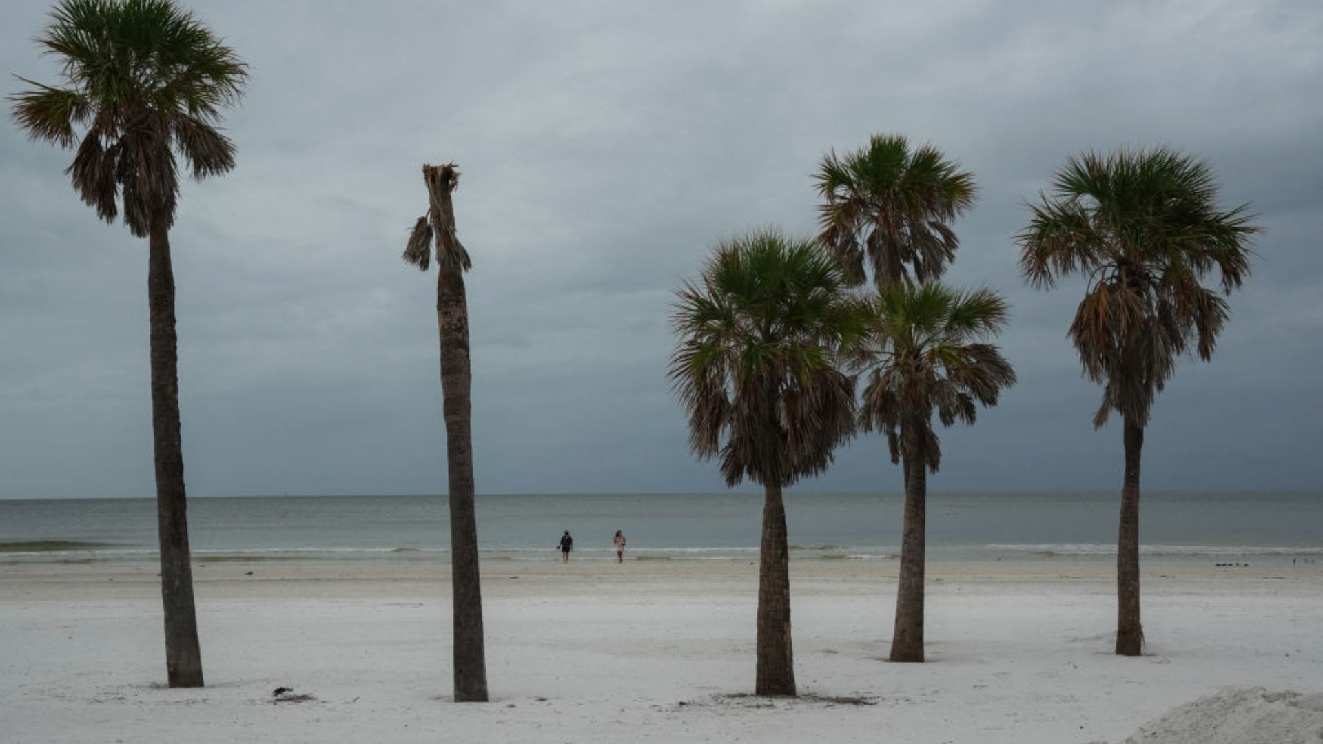 Huracán Milton se fortalece en el golfo de México y te contamos cuándo ...
