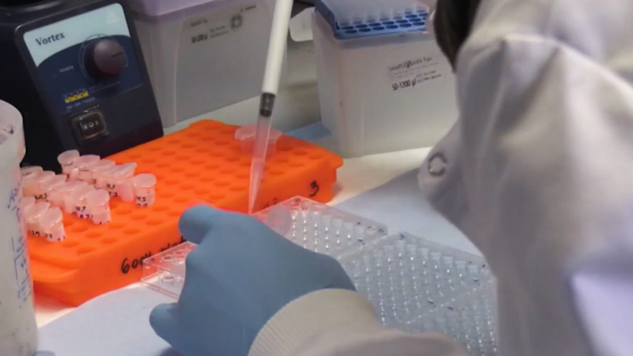 What is the latest on the vaccine development front? | Univision News ...