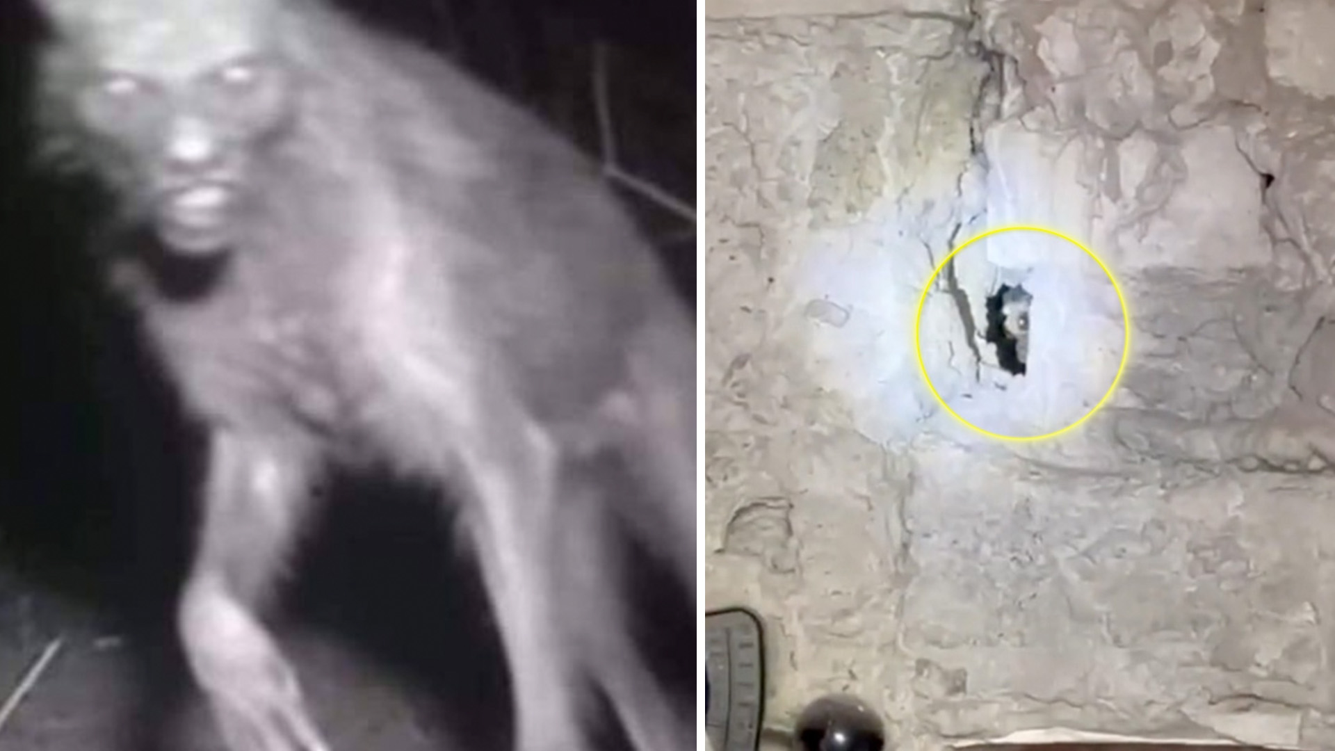 El video de un ojo dentro de una pared que está aterrorizando TikTok, ¿es un nahual o un ...