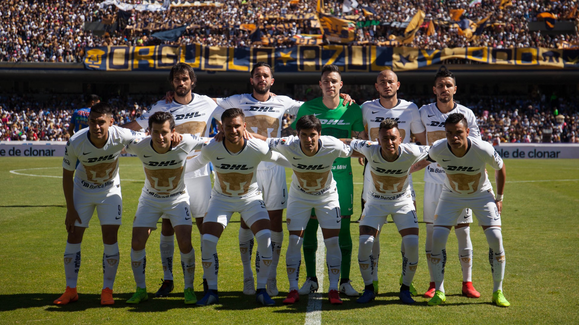 Estos son los sorprendentes números de Pumas en este Apertura | Shows ...