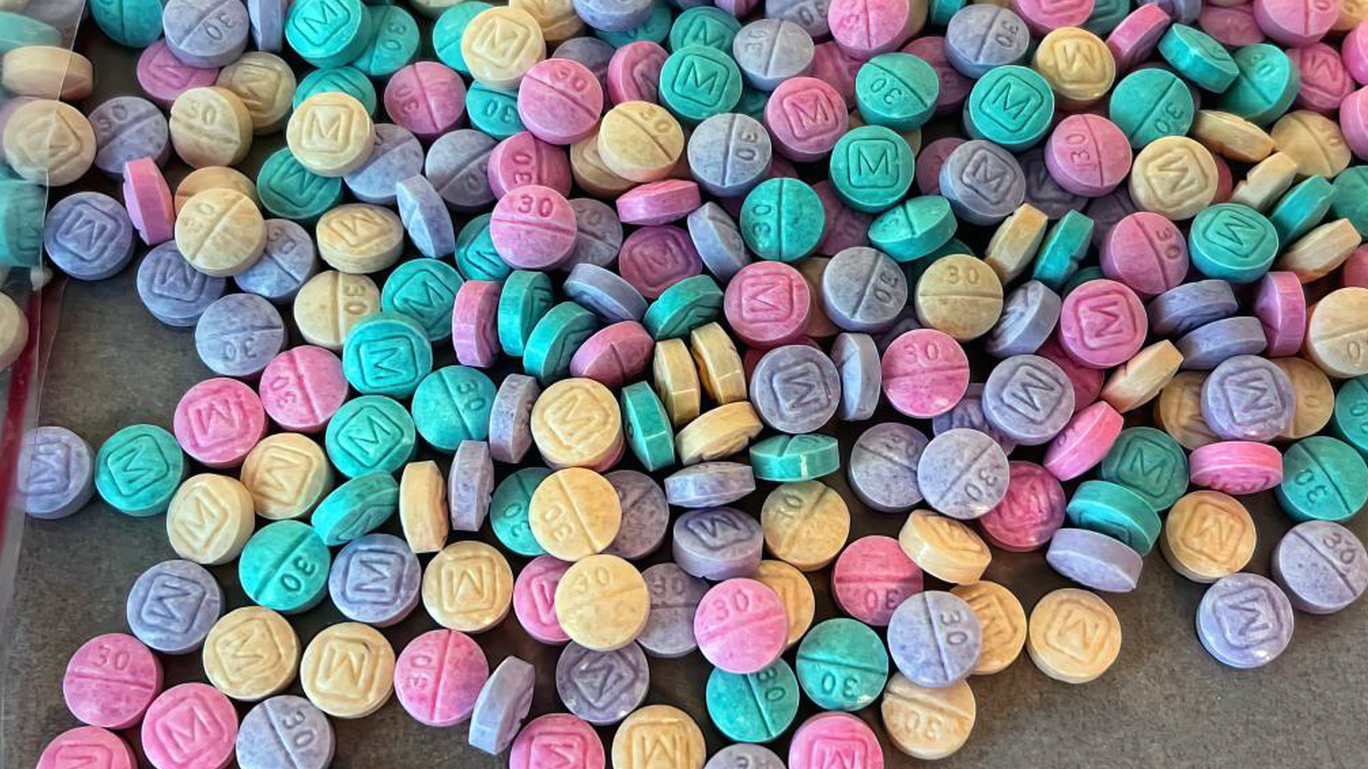 Xilacina, el tranquilizante para animales que está aumentando las ...