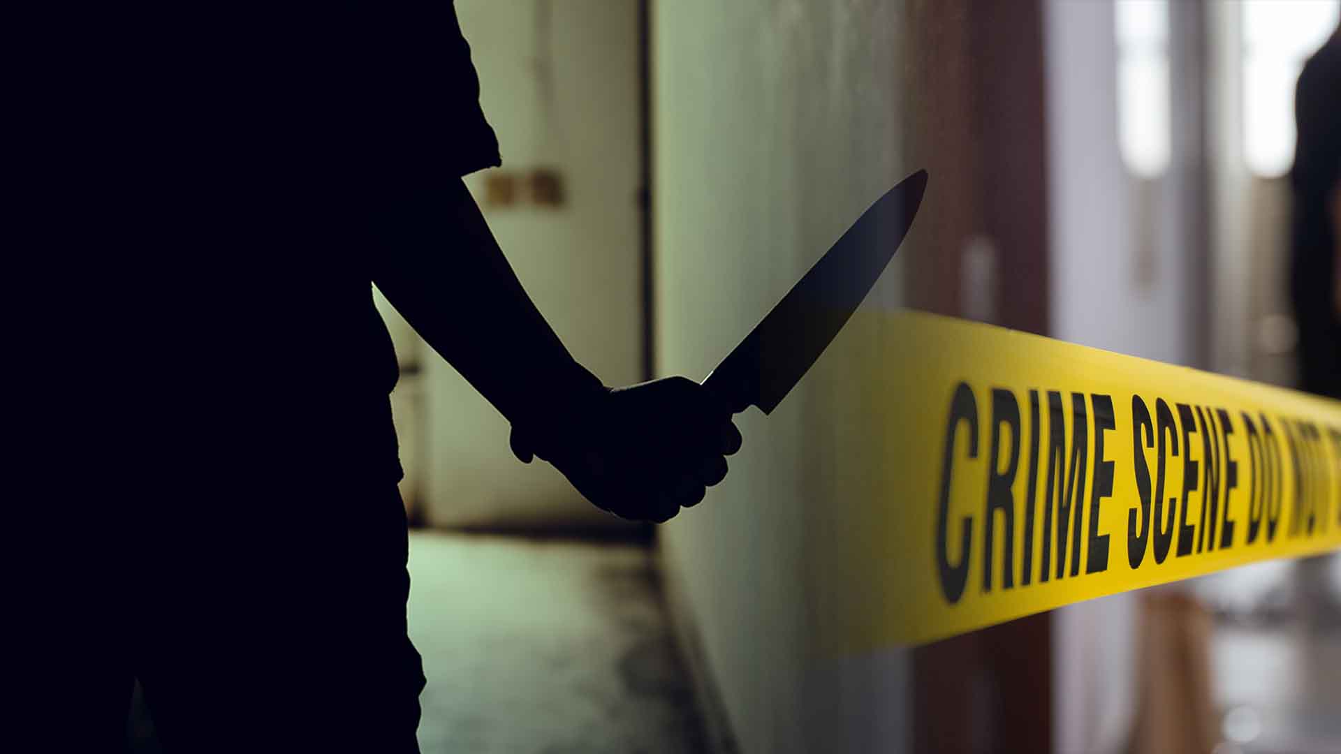 Berkeley: apuñalamiento en casa deja una mujer muerta y el arresto de ...