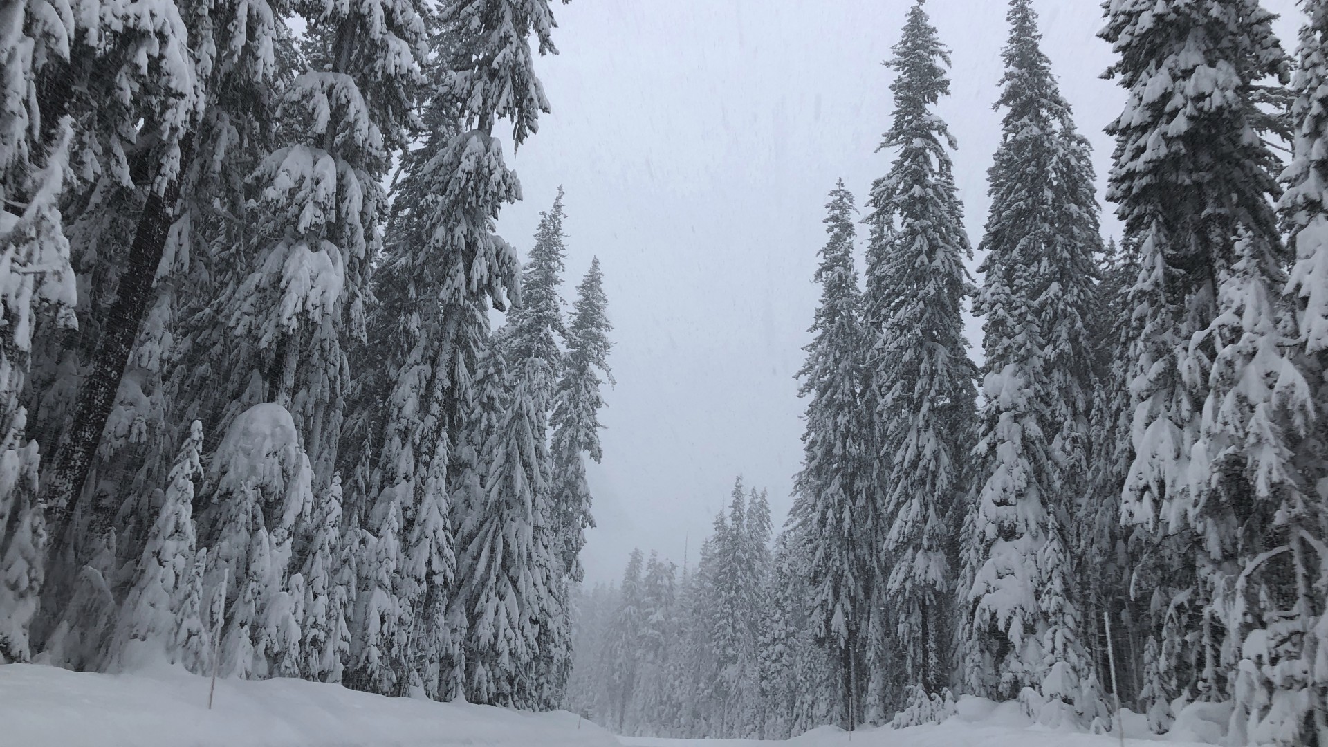 En un minuto: Una tormenta invernal dejará fuertes nevadas y hielo en ...