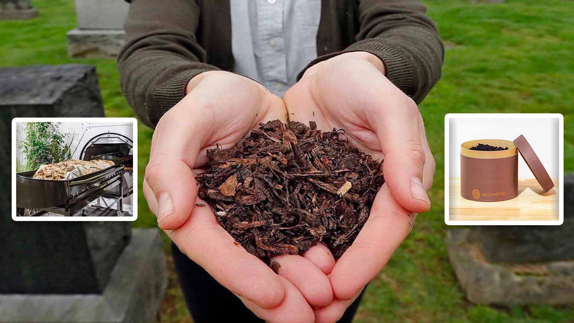 Abono creado con cadáveres humanos: La nueva modalidad ecológica de ...