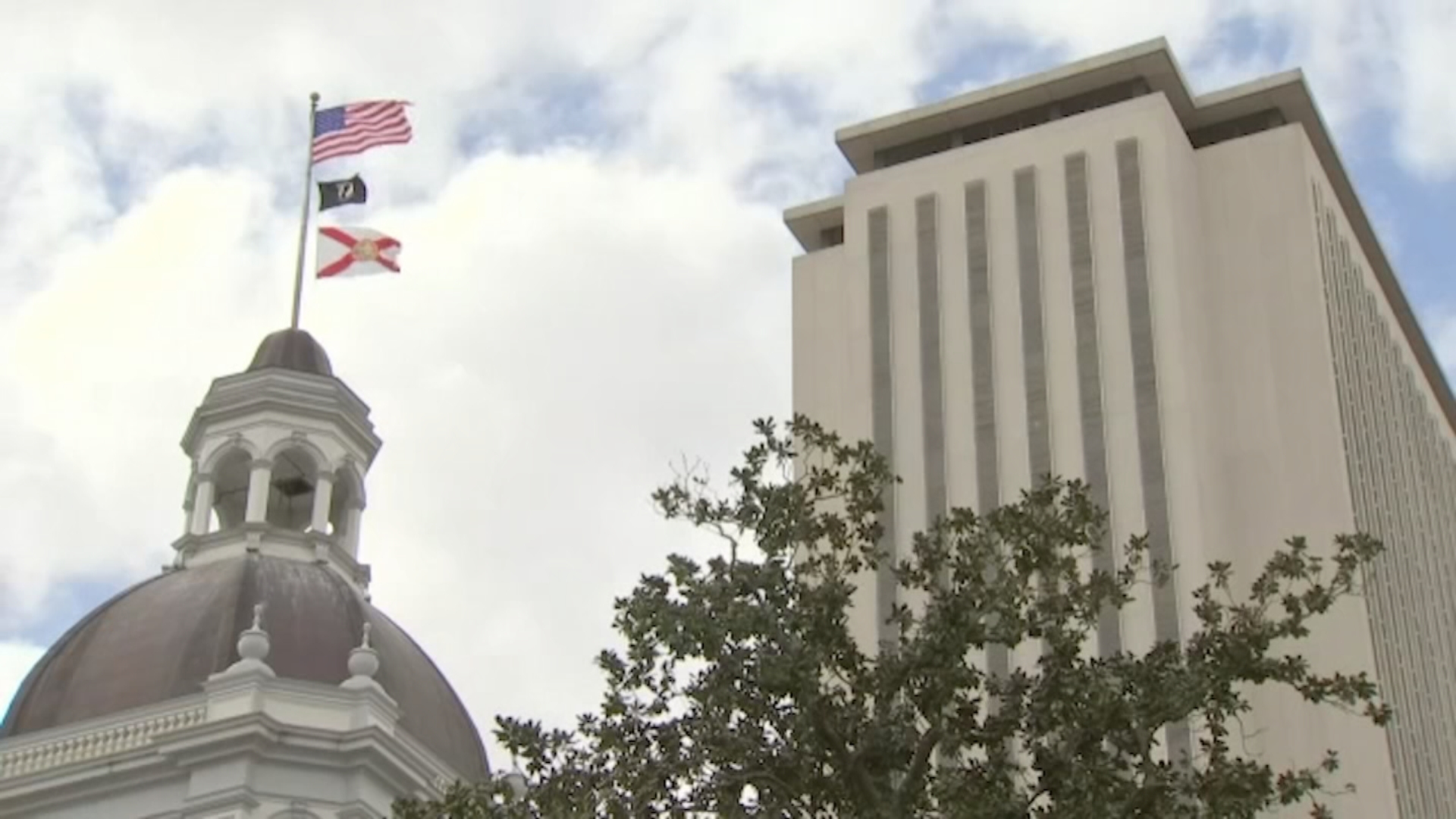Ley propone prohibir el uso de pronombres elegidos en escuelas de ...