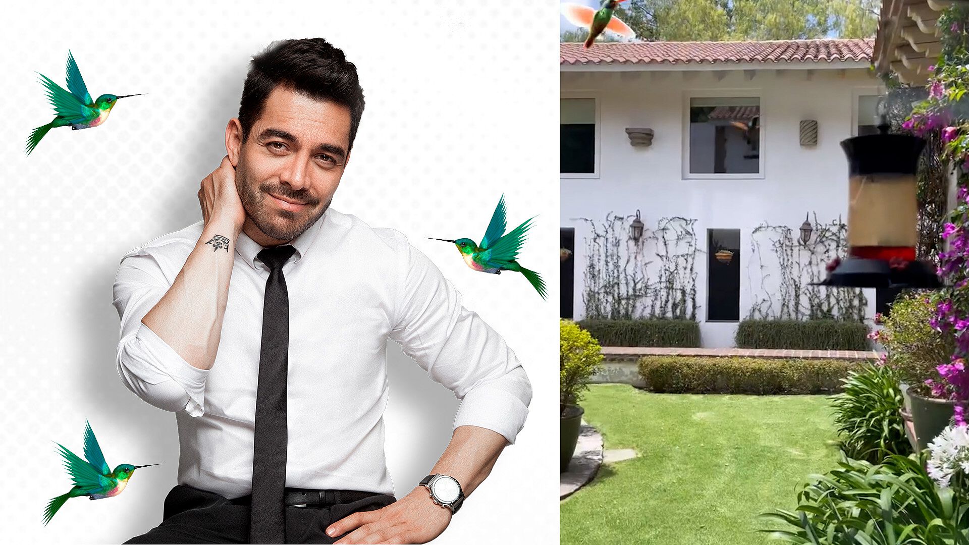 Omar Chaparro se emocionó así cuando llegó un colibrí hasta su ventana ...