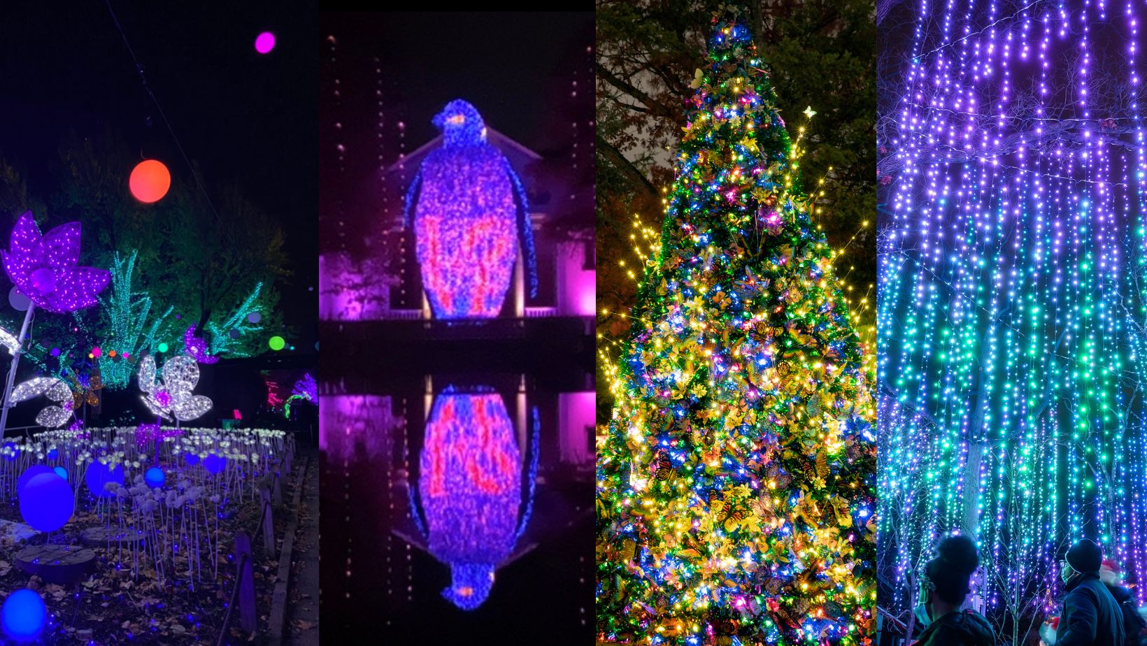 Un millón de luces transforman al Zoológico de Filadelfia en LumiNature ...