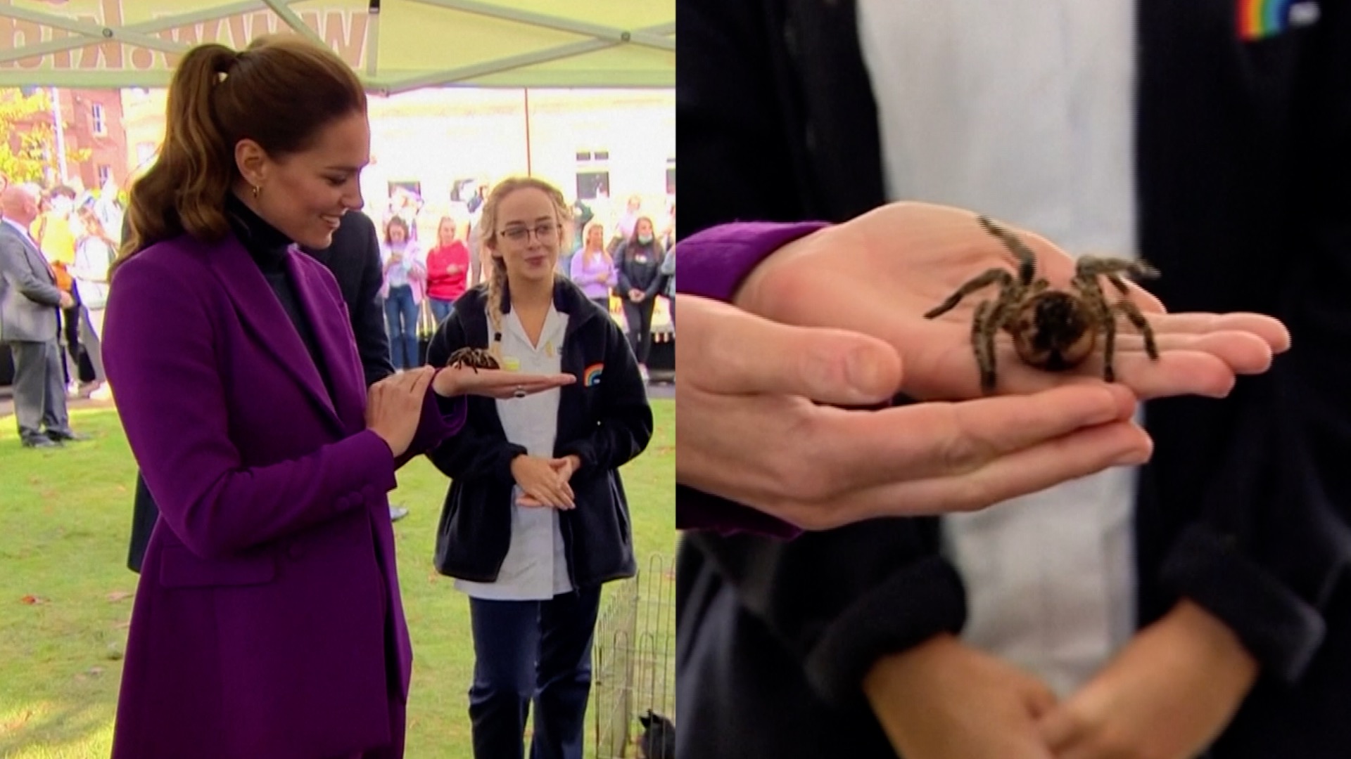 Kate Middleton sostuvo una tarántula en sus manos, durante su viaje por ...