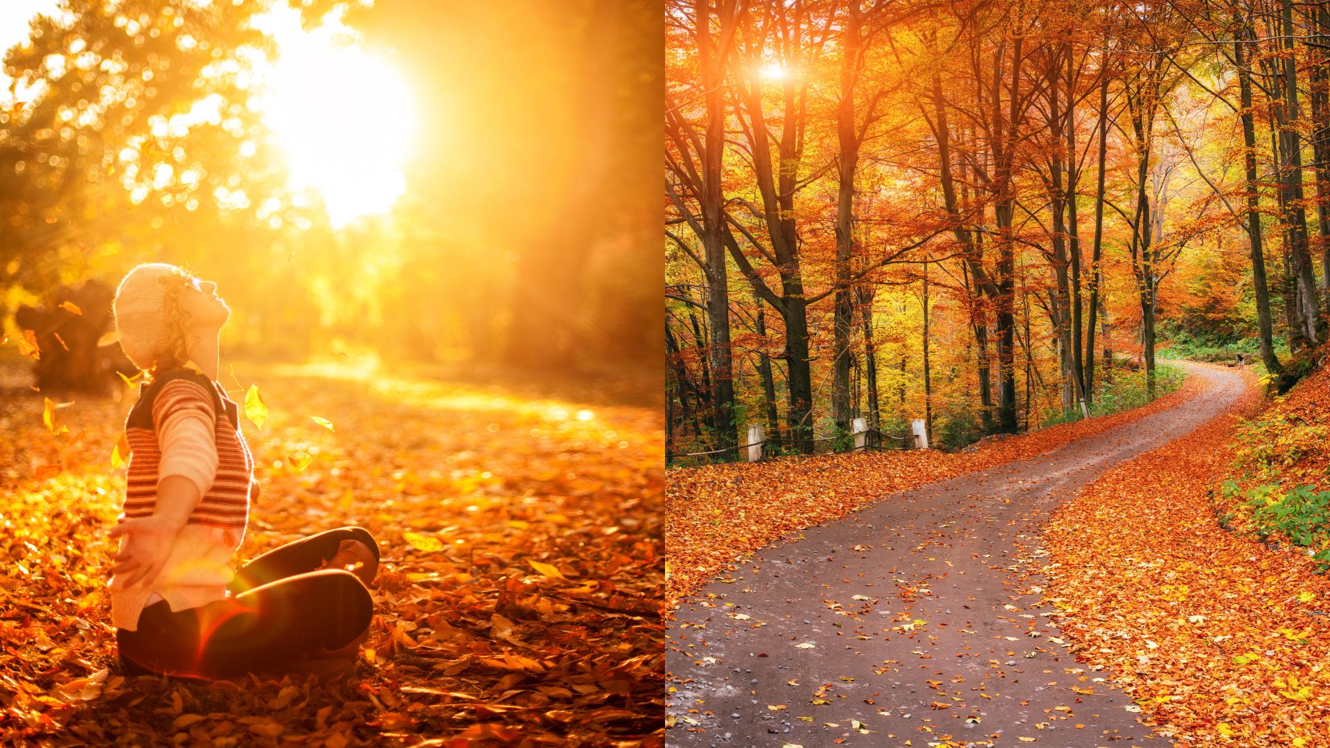 Descubre 7 curiosidades del otoño: Duración, festividades y clima ...
