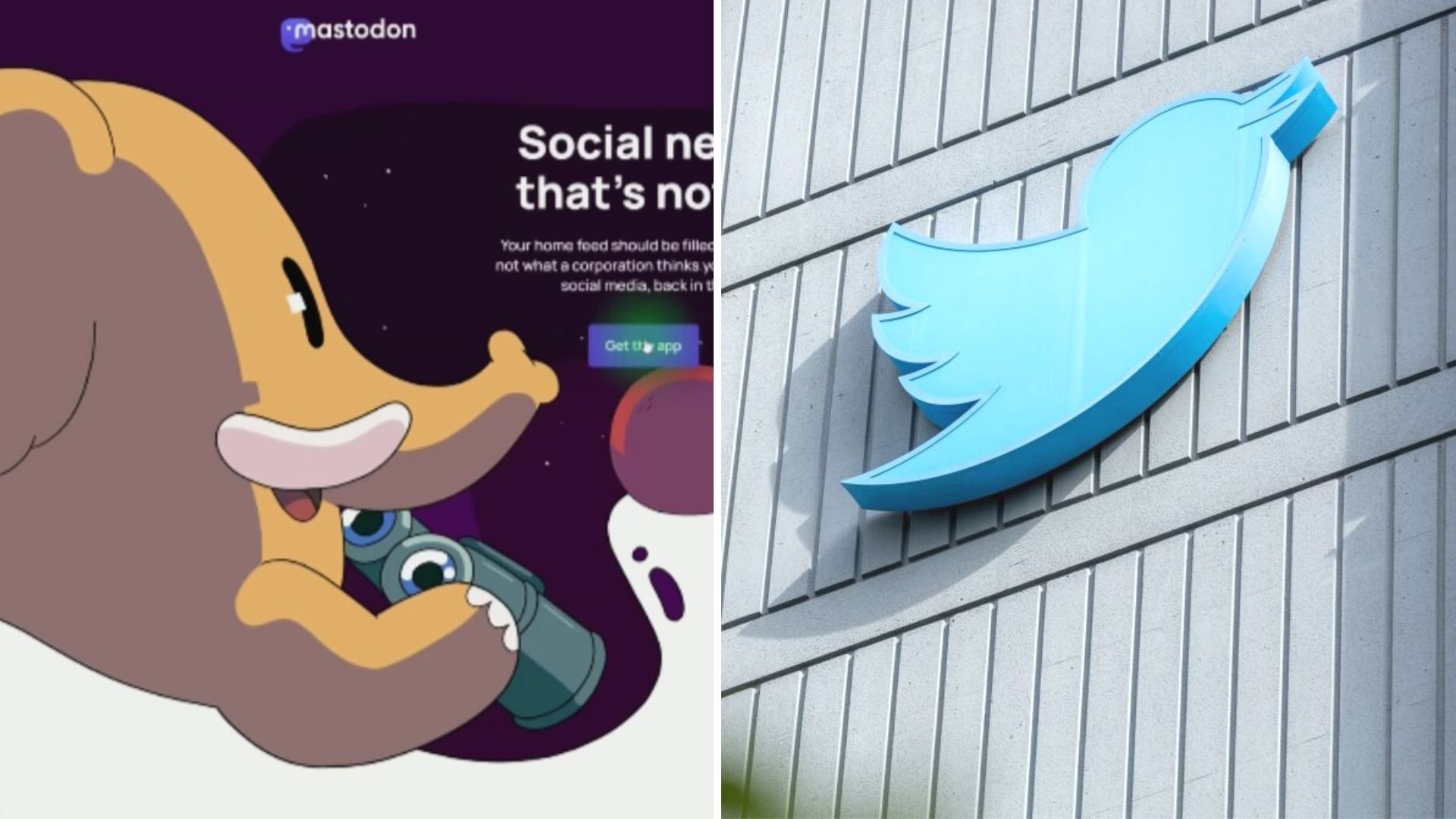Mastodon, la red social que se ha beneficiado de la incertidumbre que ...