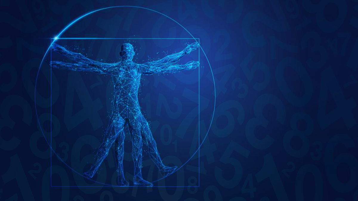 Descubre tu número áureo, o dorado y ve si tienes la 'proporción de la ...